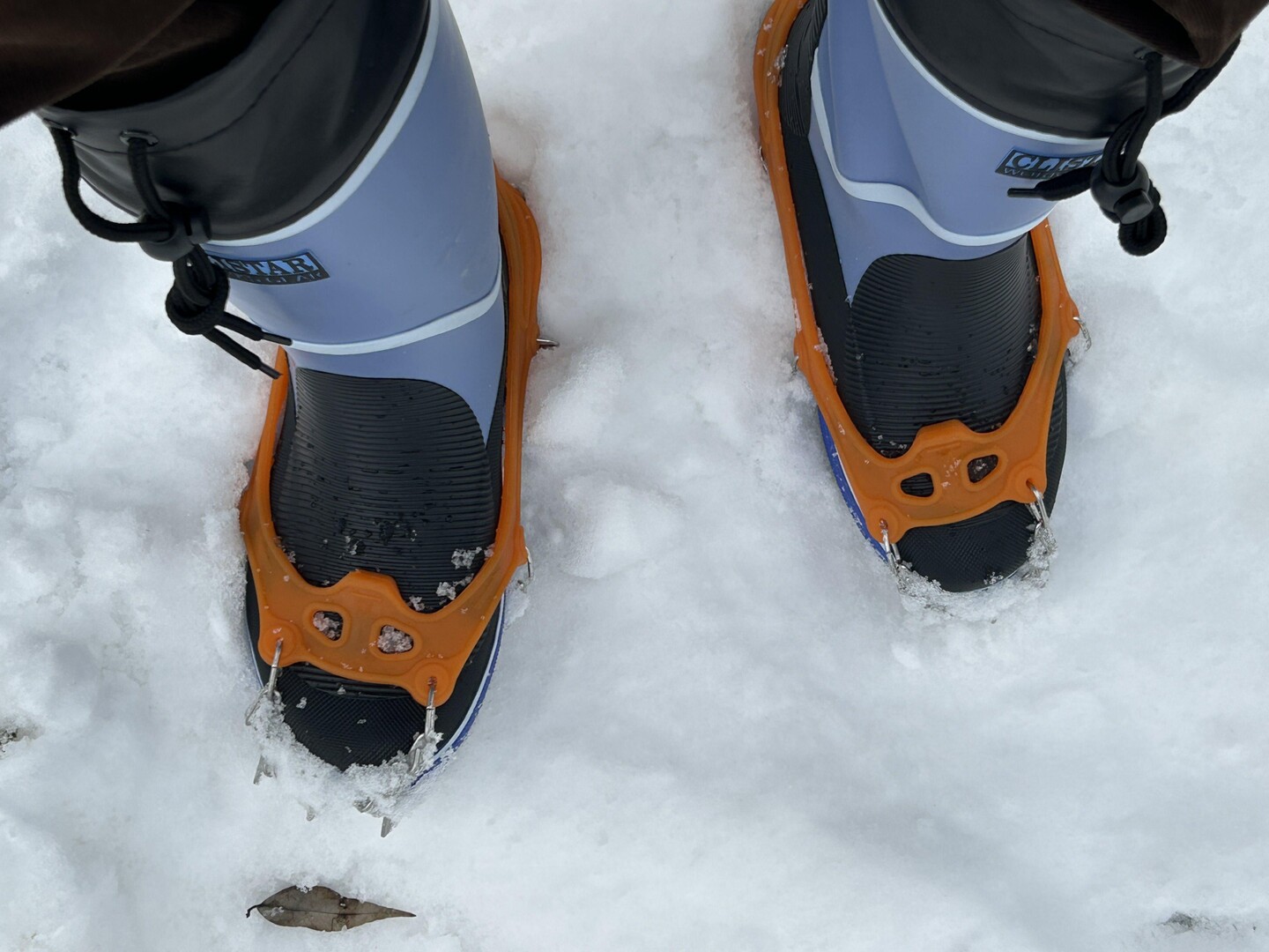 1月29日、箕面からやってきた次男の家... / sensaさんのモーメント | YAMAP / ヤマップ