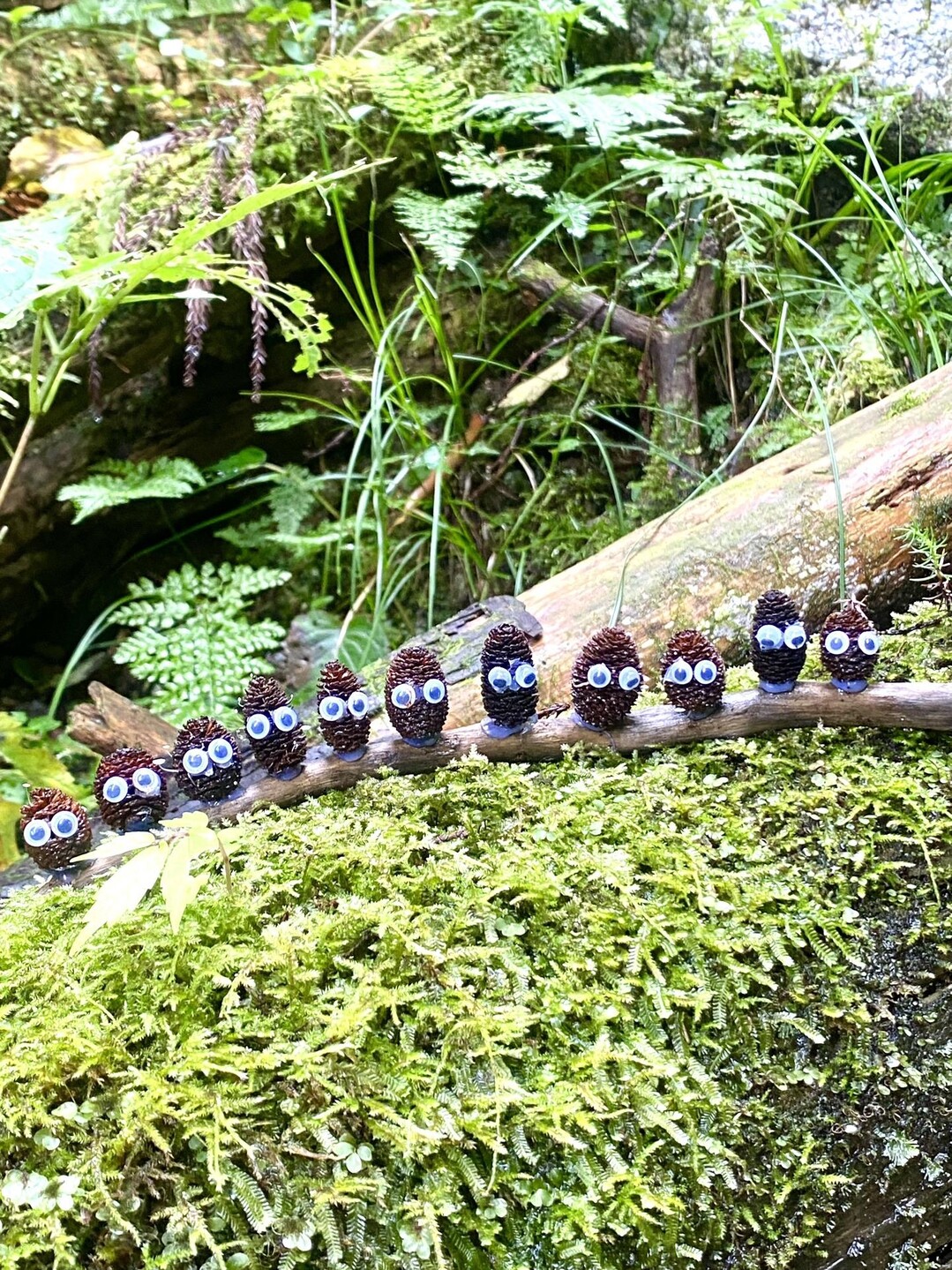 金剛山・ぼっくりアート見て来ました♪ / maunaさんの金剛山・二上山・大和葛城山の活動データ | YAMAP / ヤマップ