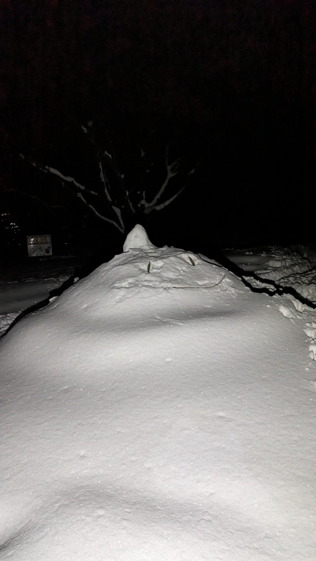 角田山にUFO(スラだるま)😂 / のりさんさんの角田山の活動日記 | YAMAP / ヤマップ