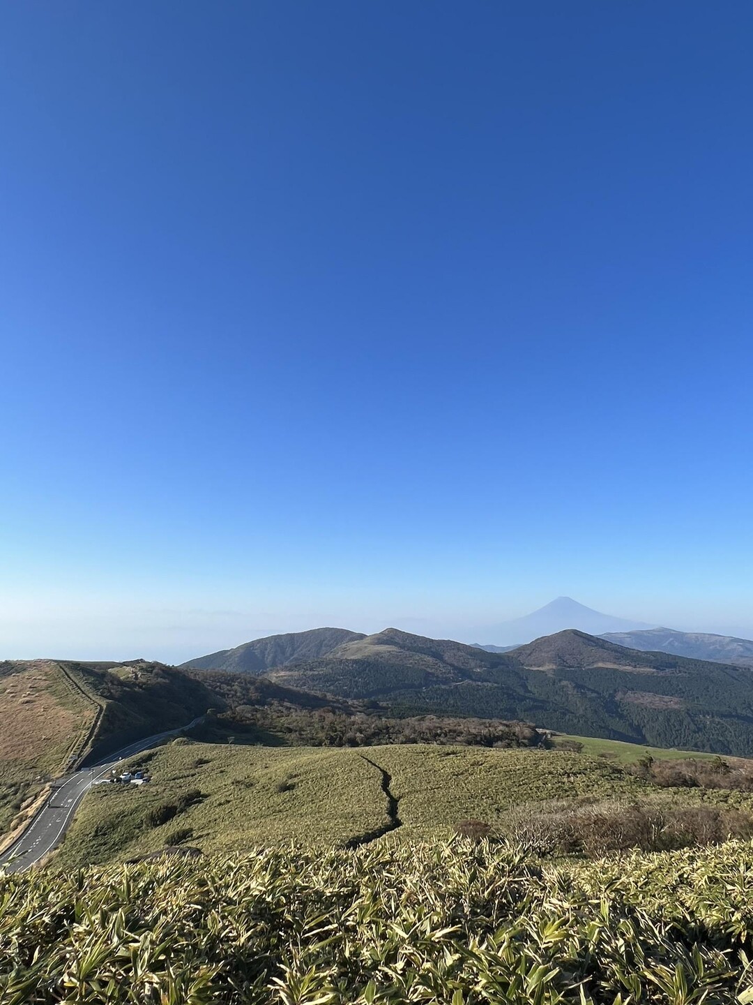 伊豆山陵線歩道 / heeth.septemberさんの棚場山・魂の山・猫越岳の活動データ | YAMAP / ヤマップ