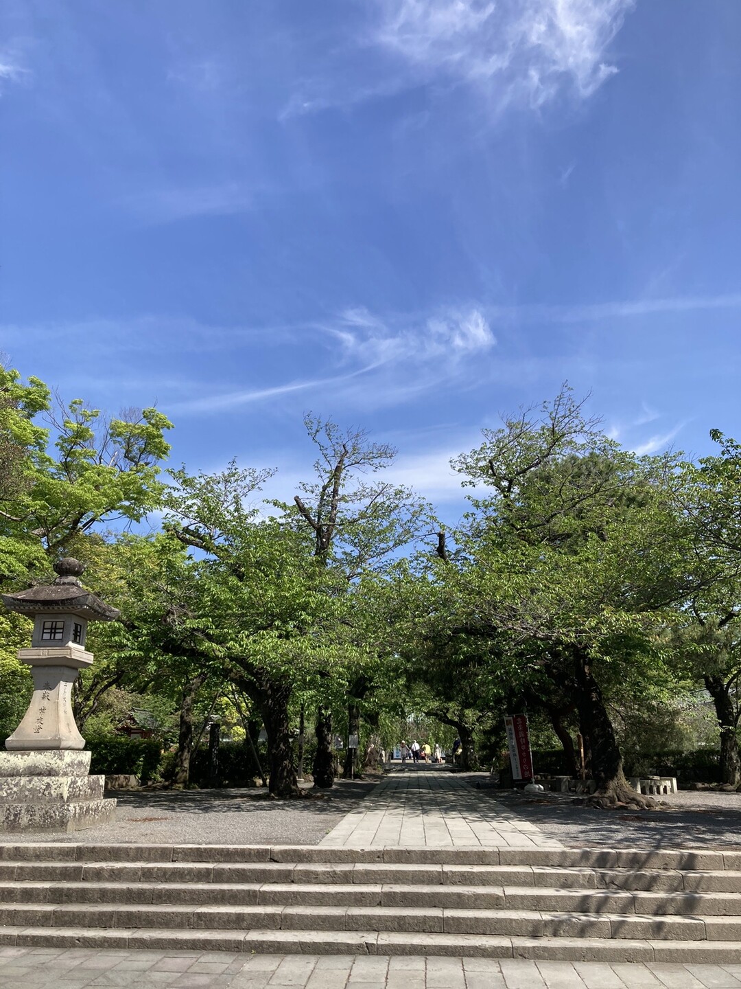 😁三島さんぽ。 三嶋大社→白滝公園→愛... / ふぁん太G3さんのモーメント | YAMAP / ヤマップ