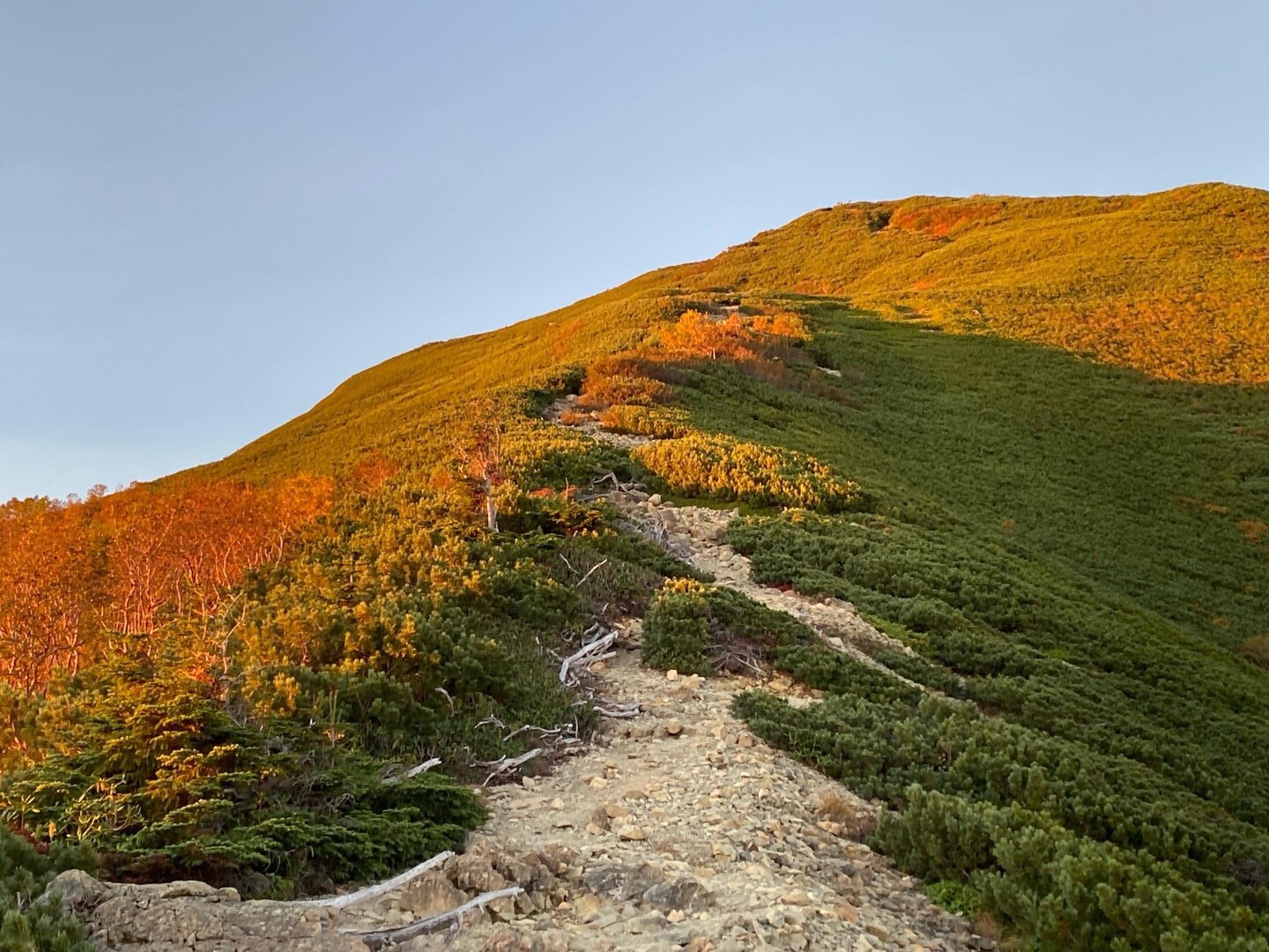 小仙丈ヶ岳・仙丈ヶ岳 / tomokoさんの仙丈ヶ岳・伊那荒倉岳の活動データ | YAMAP / ヤマップ