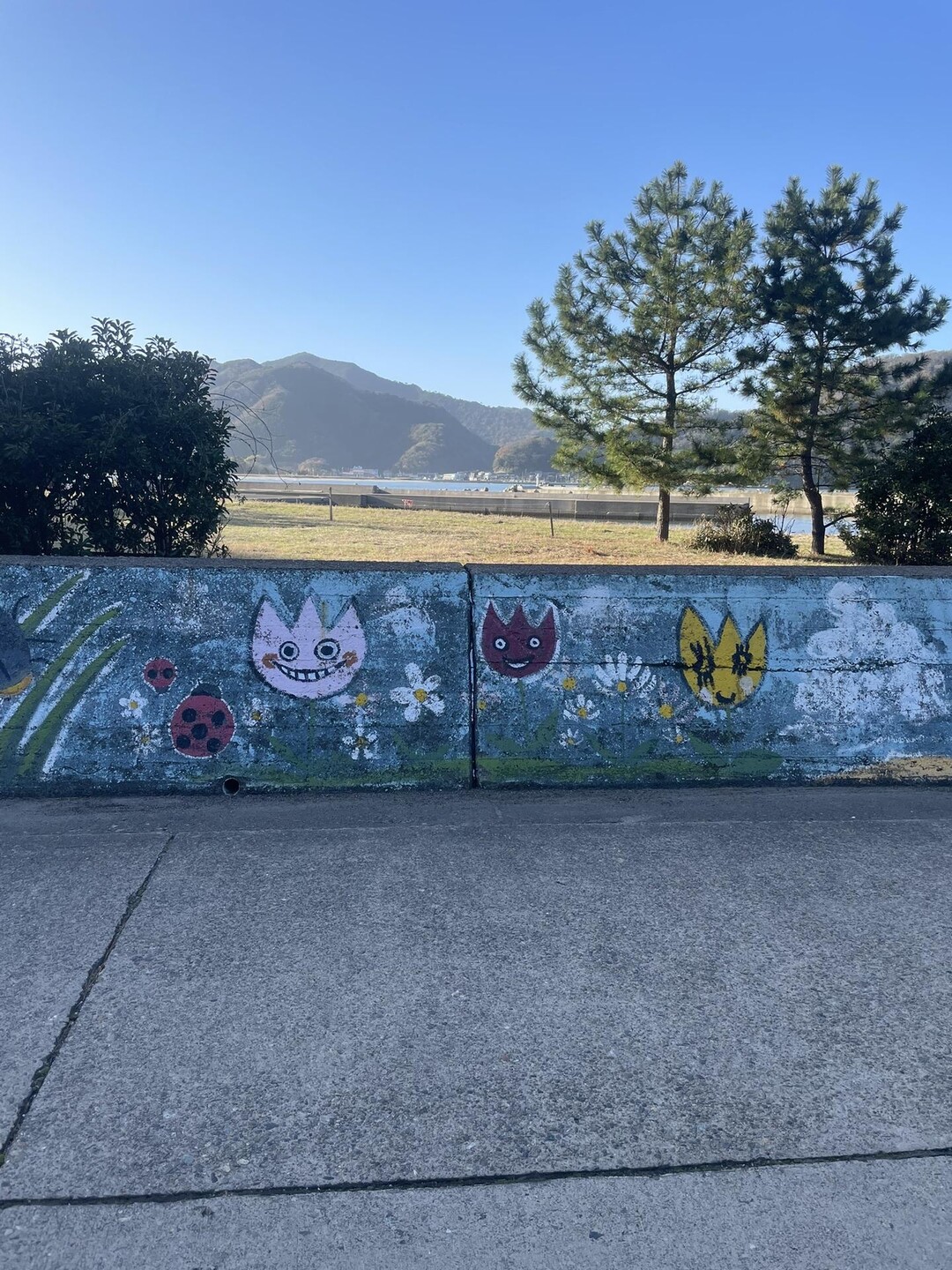 堂山 / みみみDOさんの山陰海岸ジオパーク 京丹後エリア 西の活動データ | YAMAP / ヤマップ