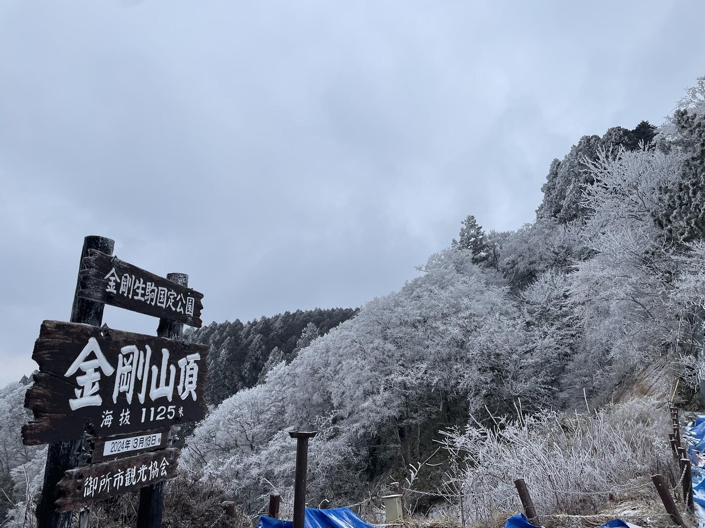 職場の同僚を金剛山にご案内🤓 / do-kichiさんの金剛山・二上山・大和葛城山の活動データ | YAMAP / ヤマップ