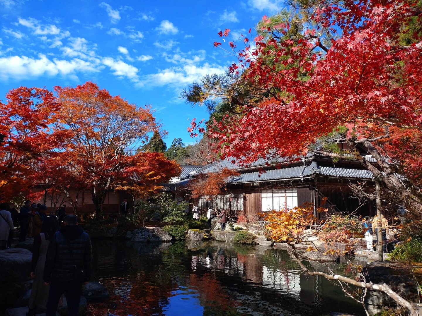 百済寺(湖東三山) / potiさんの日本コバの活動データ | YAMAP / ヤマップ