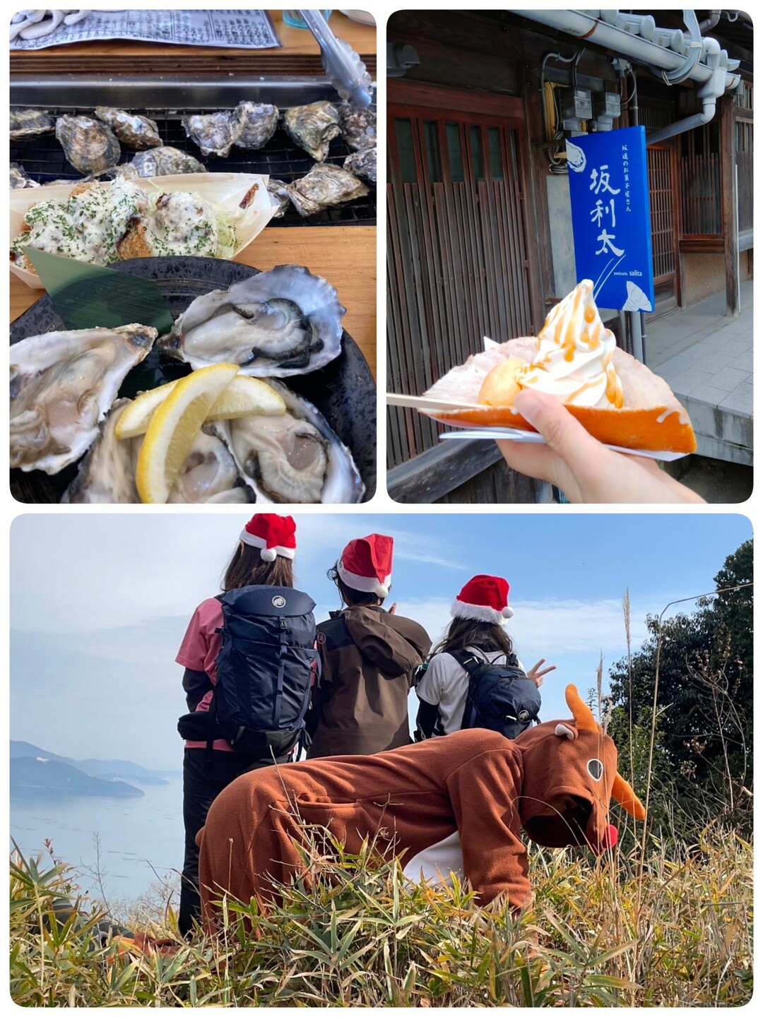 坂越アルプスでMerryChristmas🎅 / hiroponさんの雄鷹台山の活動データ | YAMAP / ヤマップ