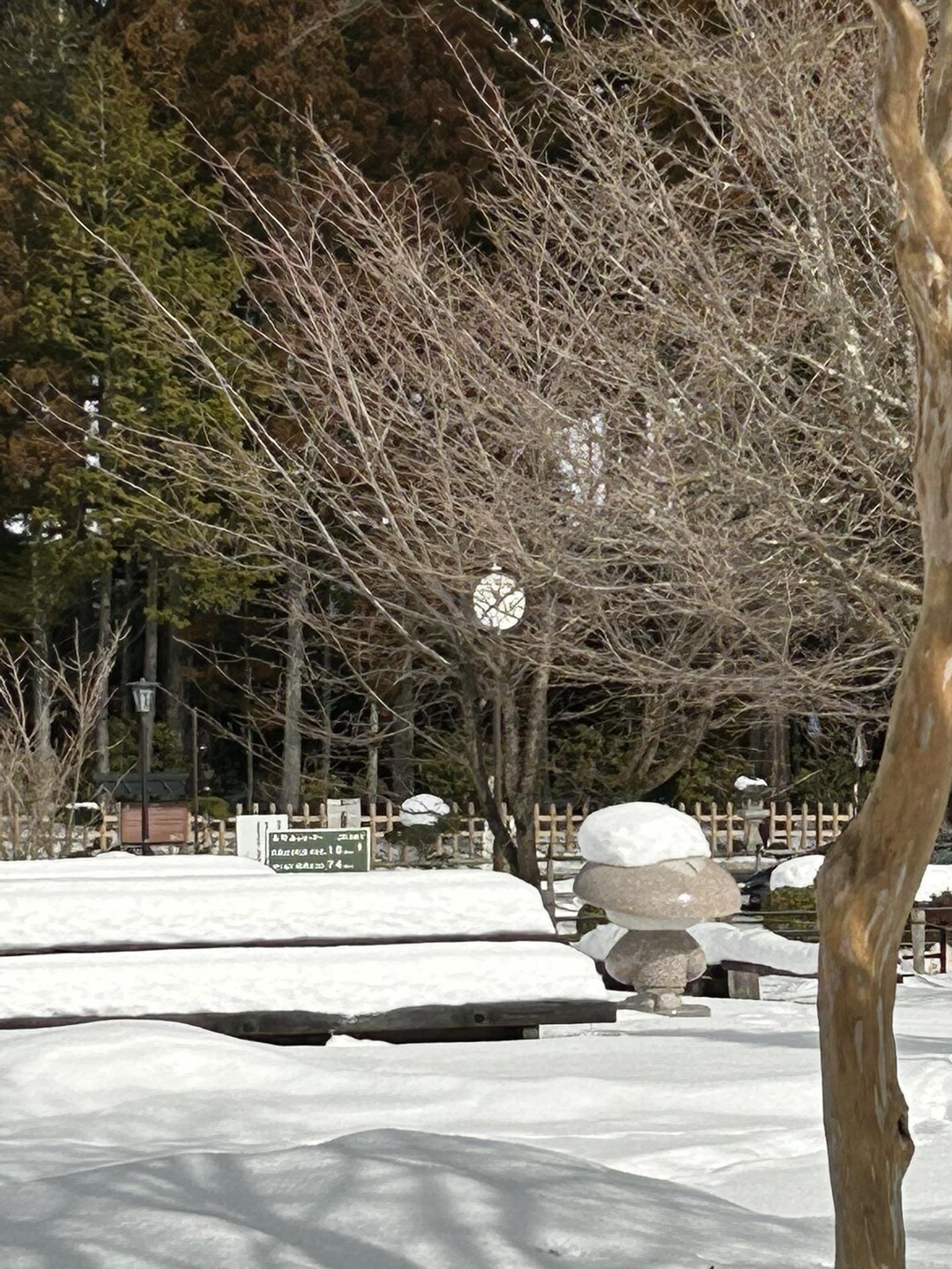 2週間ぶりの高野山！ 仕事ですけど😂 ... / おマリさんのモーメント | YAMAP / ヤマップ