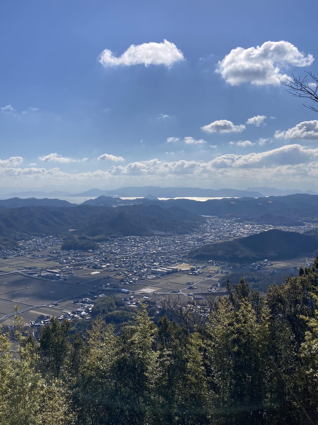 大山桜〜常山縦走 Part 2 / かっくんさんの常山の活動日記 | YAMAP / ヤマップ