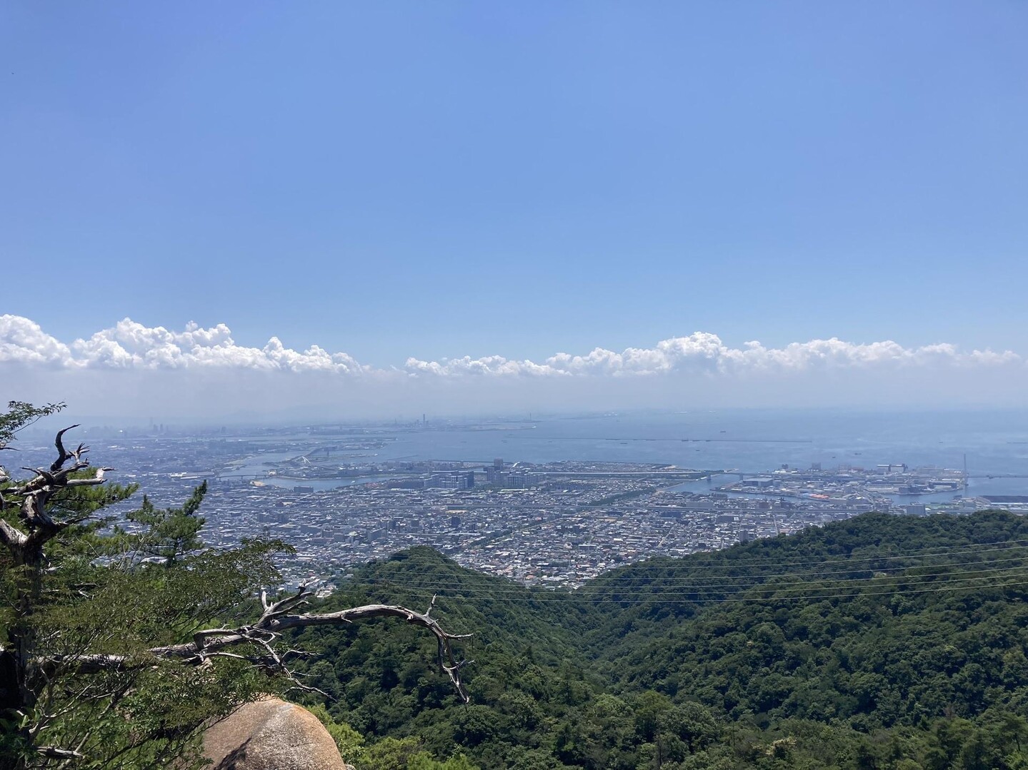 なかみ山・荒地山 / risaさんの六甲山・長峰山・摩耶山の活動データ | YAMAP / ヤマップ