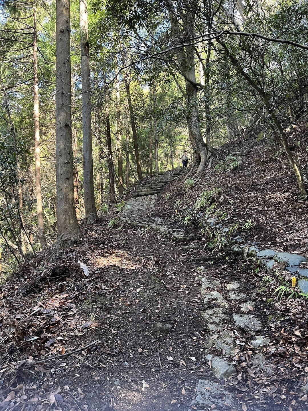 山の清掃活動。 綺麗になりました。腕が疲... / Mimiさんのモーメント | YAMAP / ヤマップ