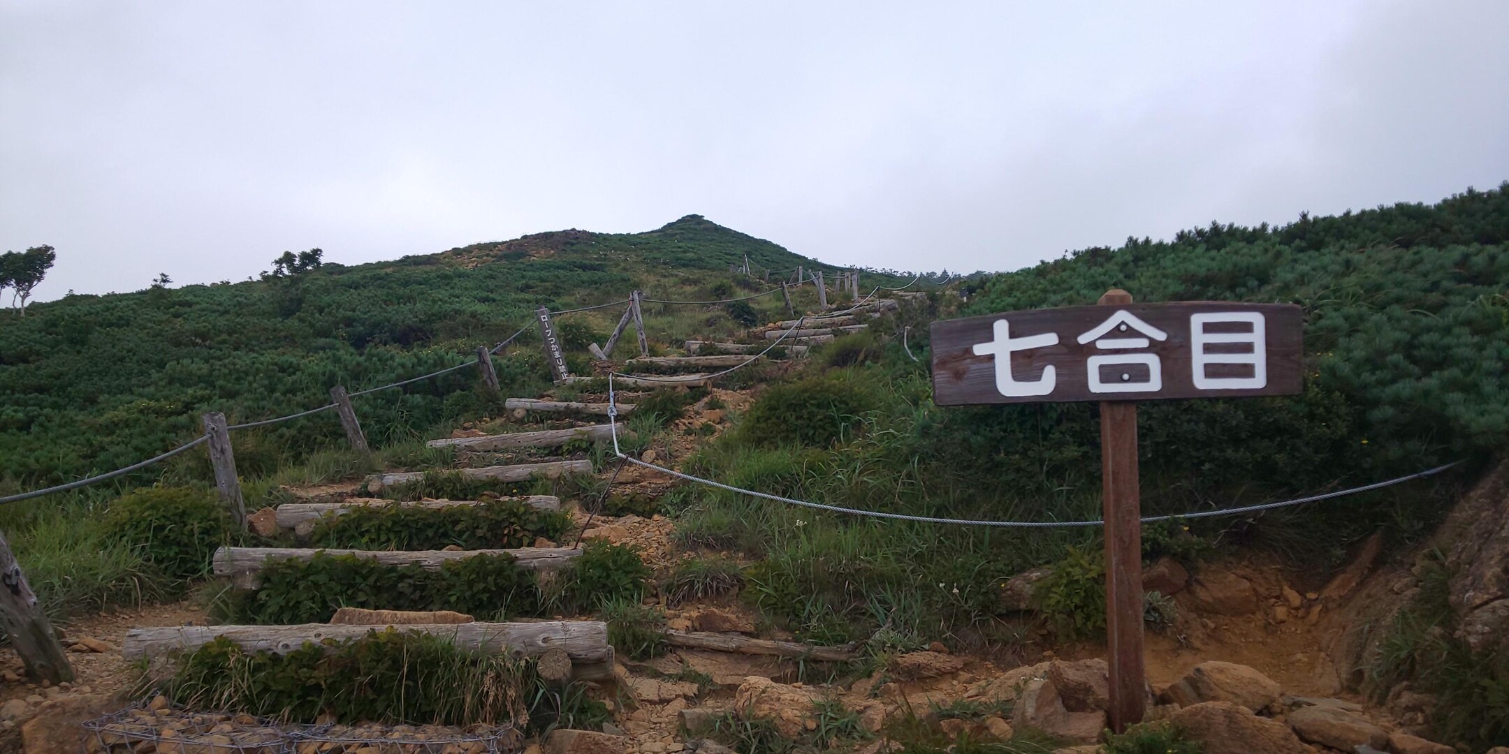 アポイ岳 / k339さんのアポイ岳の活動日記 | YAMAP / ヤマップ