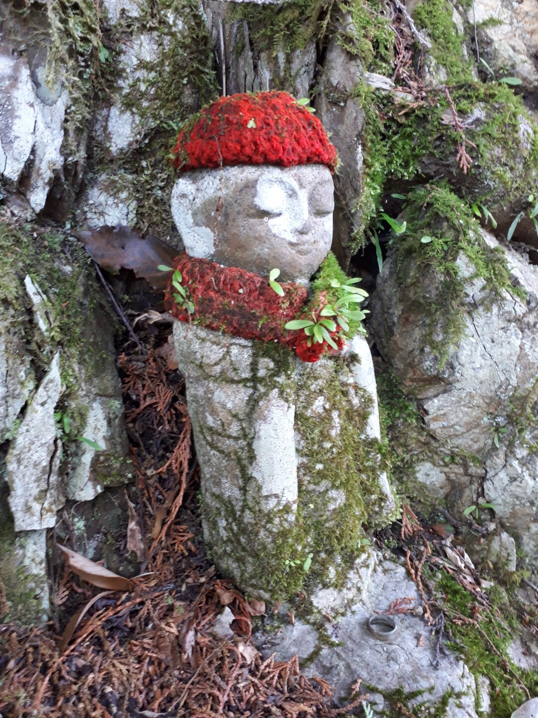 黒河道 町石道 / バランスライト(TET)さんの高野参詣道（高野山・楊柳山・雨引山）の活動データ | YAMAP / ヤマップ