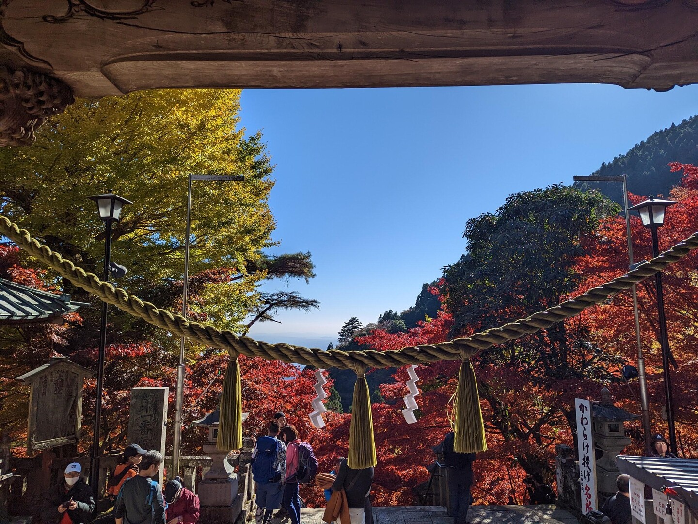 大山 / Lilyさんの丹沢山の活動データ | YAMAP / ヤマップ