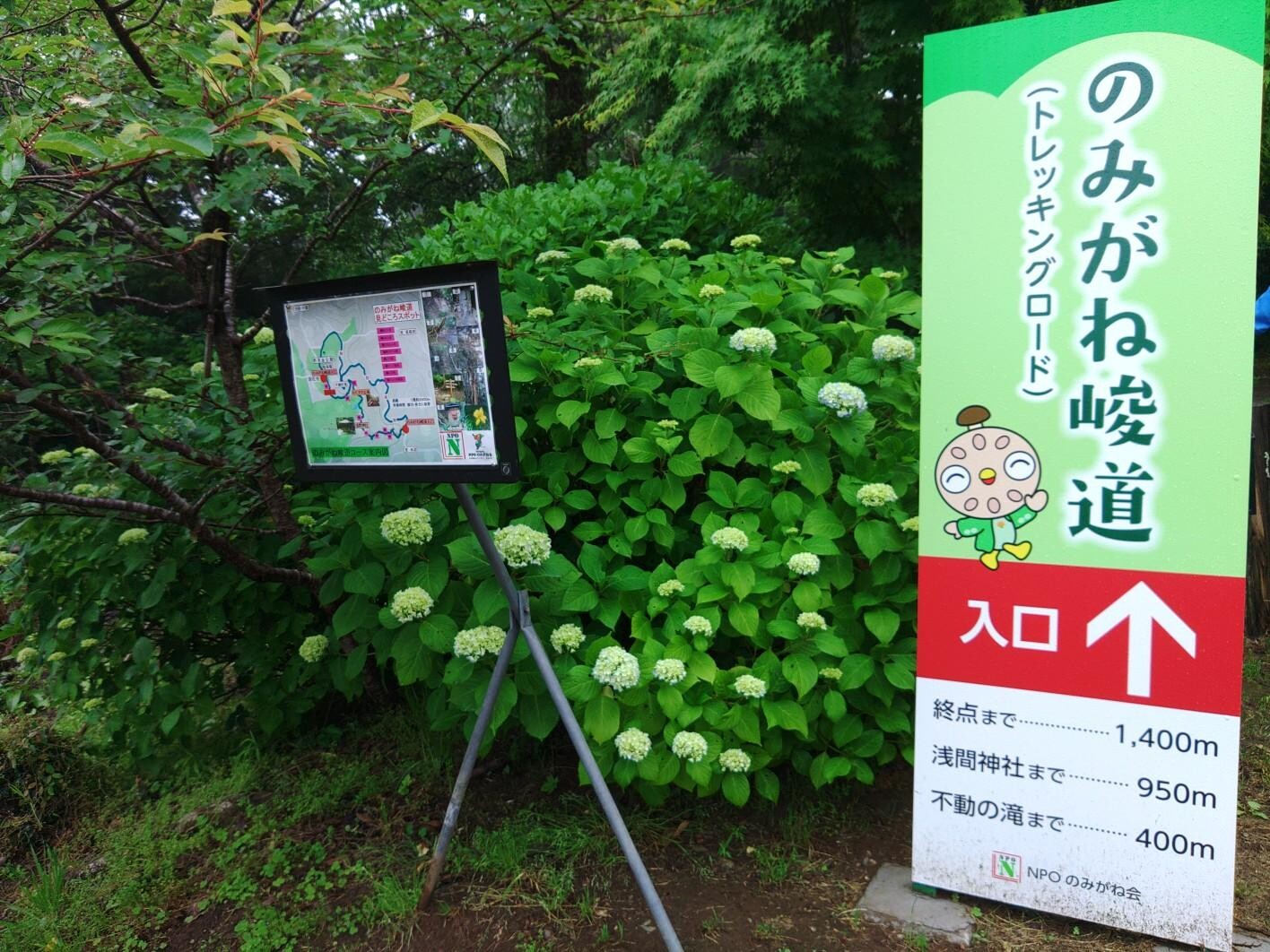 今日は朝から雨がぱらついてる。 そうだ野見金山にいこう！ / Jack Harknessさんの笠森グリーンルートの活動データ | YAMAP / ヤマップ