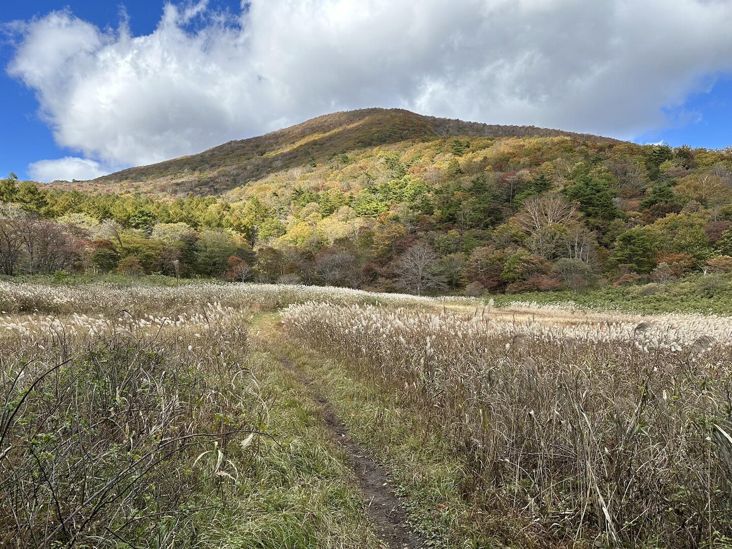 泉ヶ岳 / ホッシーさんの船形山（御所山）・泉ヶ岳・蛇ヶ岳の活動データ | YAMAP / ヤマップ
