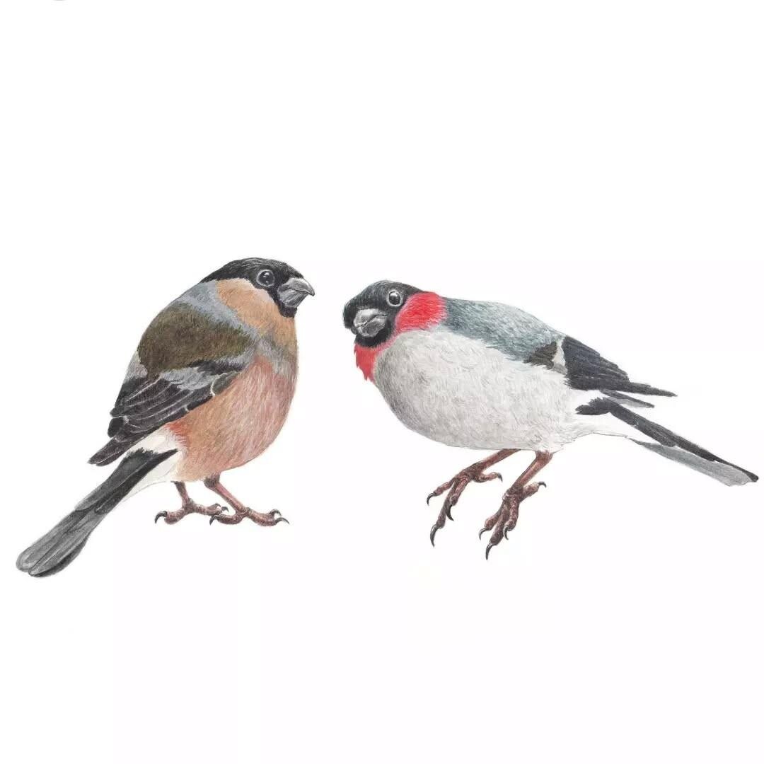 Tae のページ | YAMAP / ヤマップ