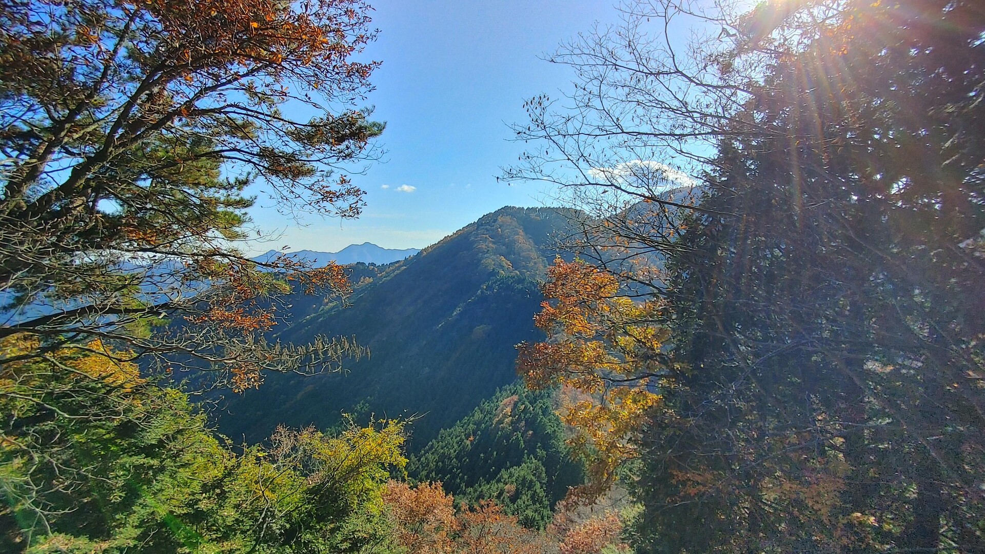 本仁田山・瘤高山・鋸尾根Ⅲ峰・鋸尾根Ⅱ峰・鋸尾根Ⅰ峰・川苔山（川乗山） / Tomさんの川苔山（川乗山）の活動データ | YAMAP / ヤマップ
