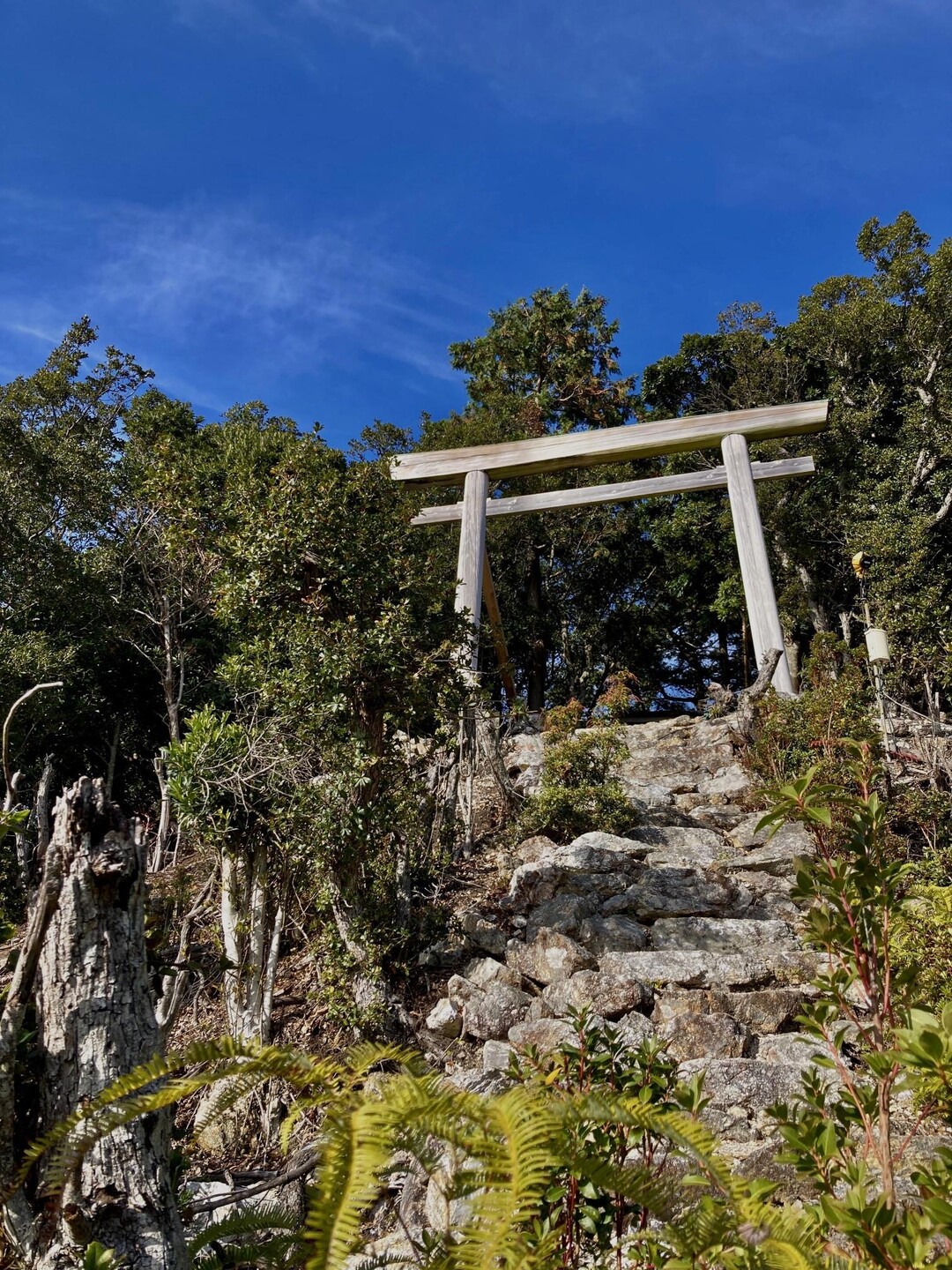 五ヶ所浅間山・馬山 / T-boyさんの八称宣山・京路山の活動データ | YAMAP / ヤマップ