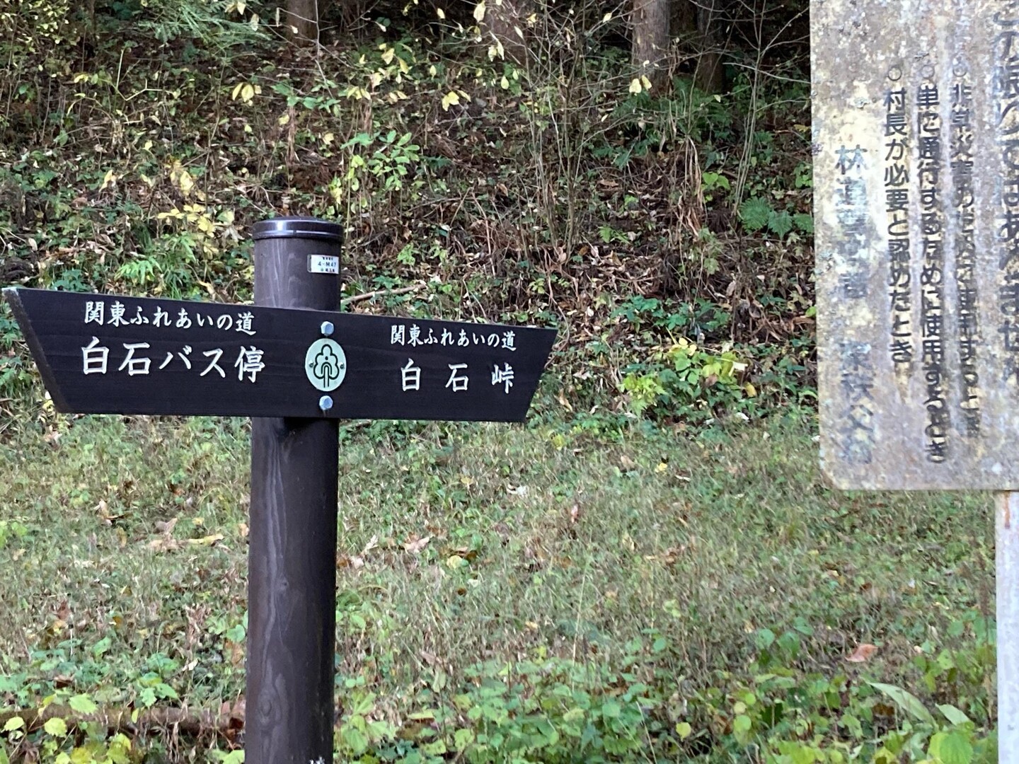 taoさんの投稿したフィールドメモ | YAMAP / ヤマップ