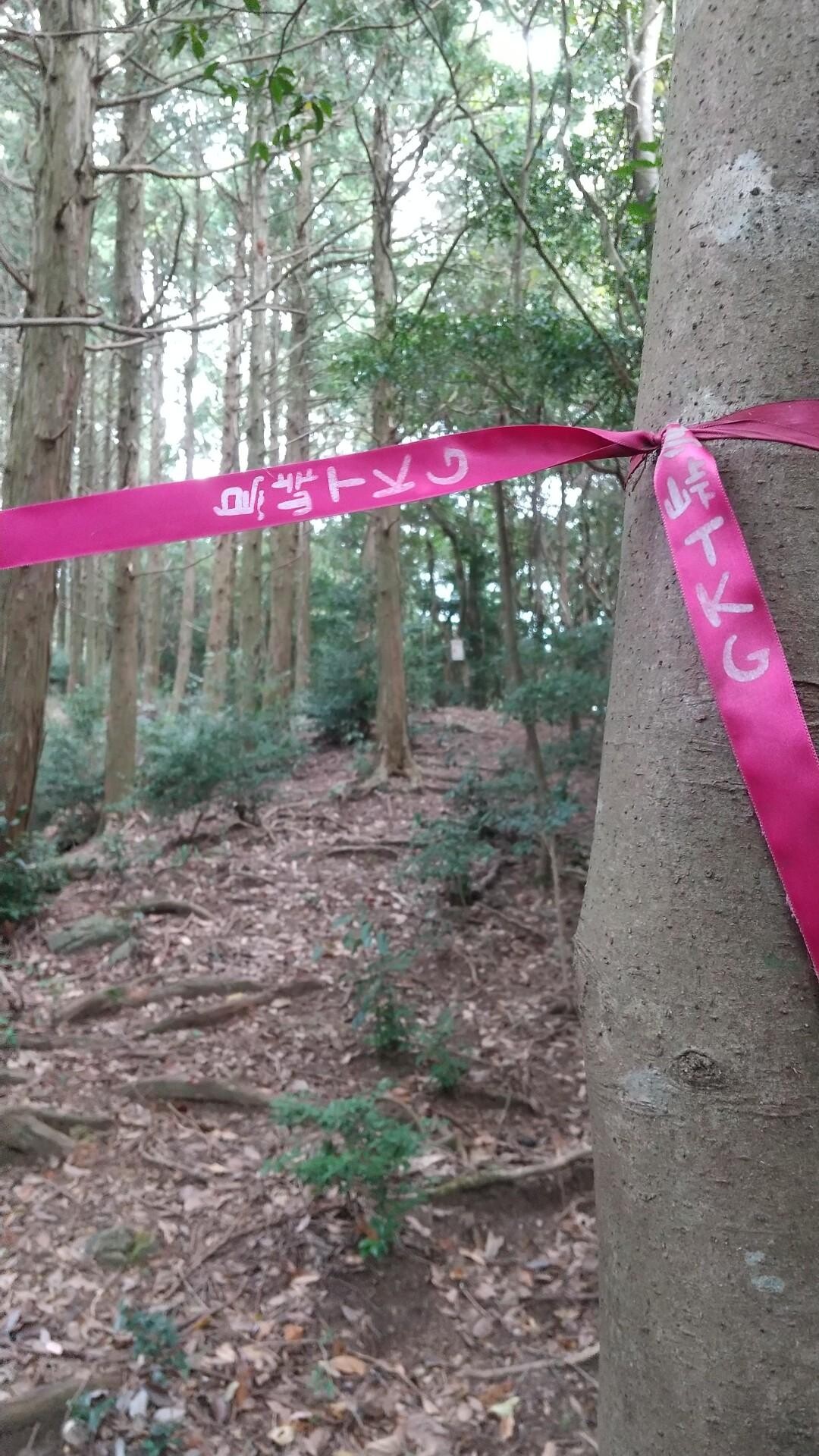 烏峠TKG? / ひさぼんさんの烏峠・御所浦島の活動データ | YAMAP / ヤマップ