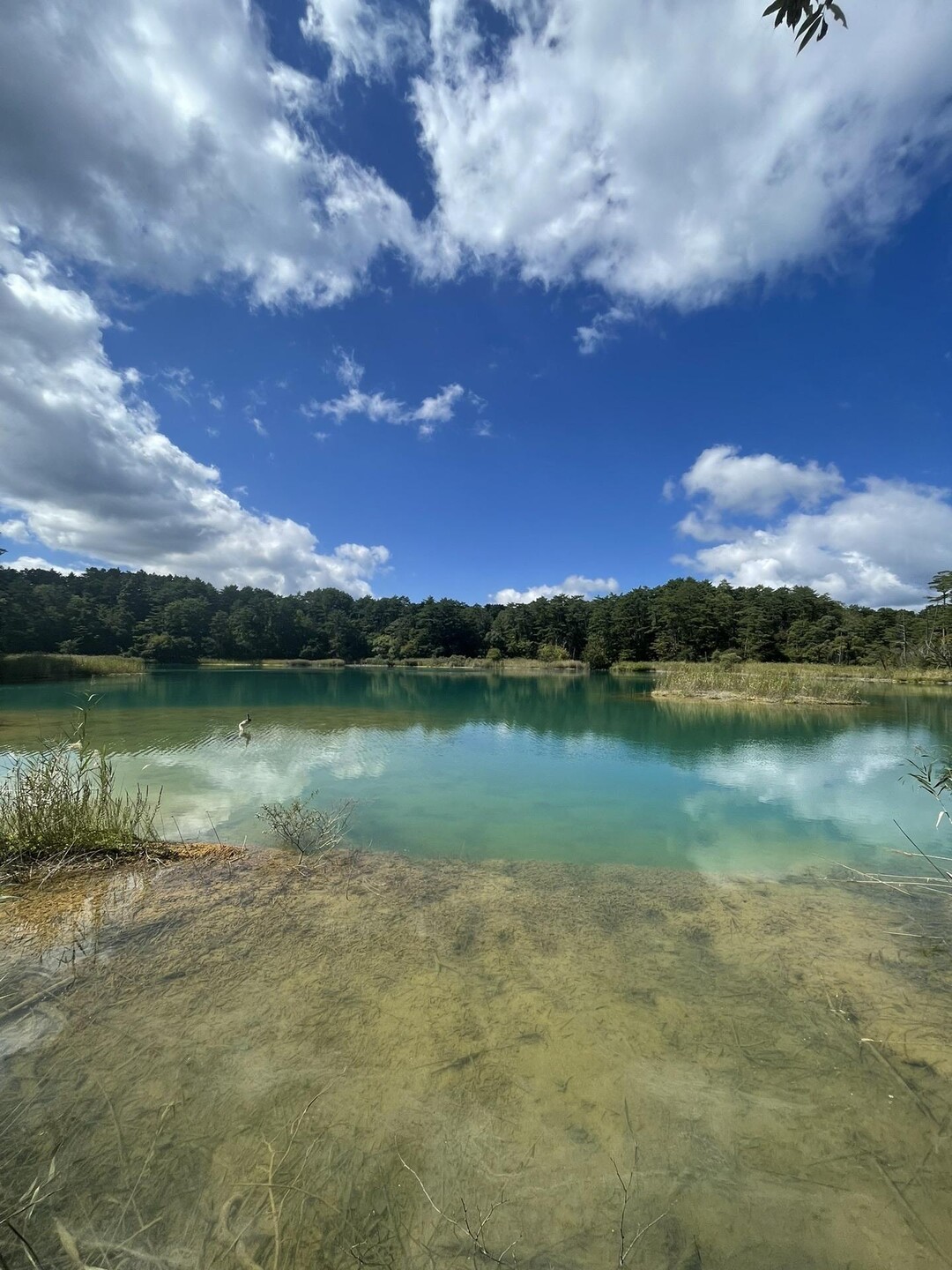裏磐梯☀︎五色沼湖沼群ウォーキング🚶‍♀️ / ukimayuさんのウォーキングの活動データ | YAMAP / ヤマップ