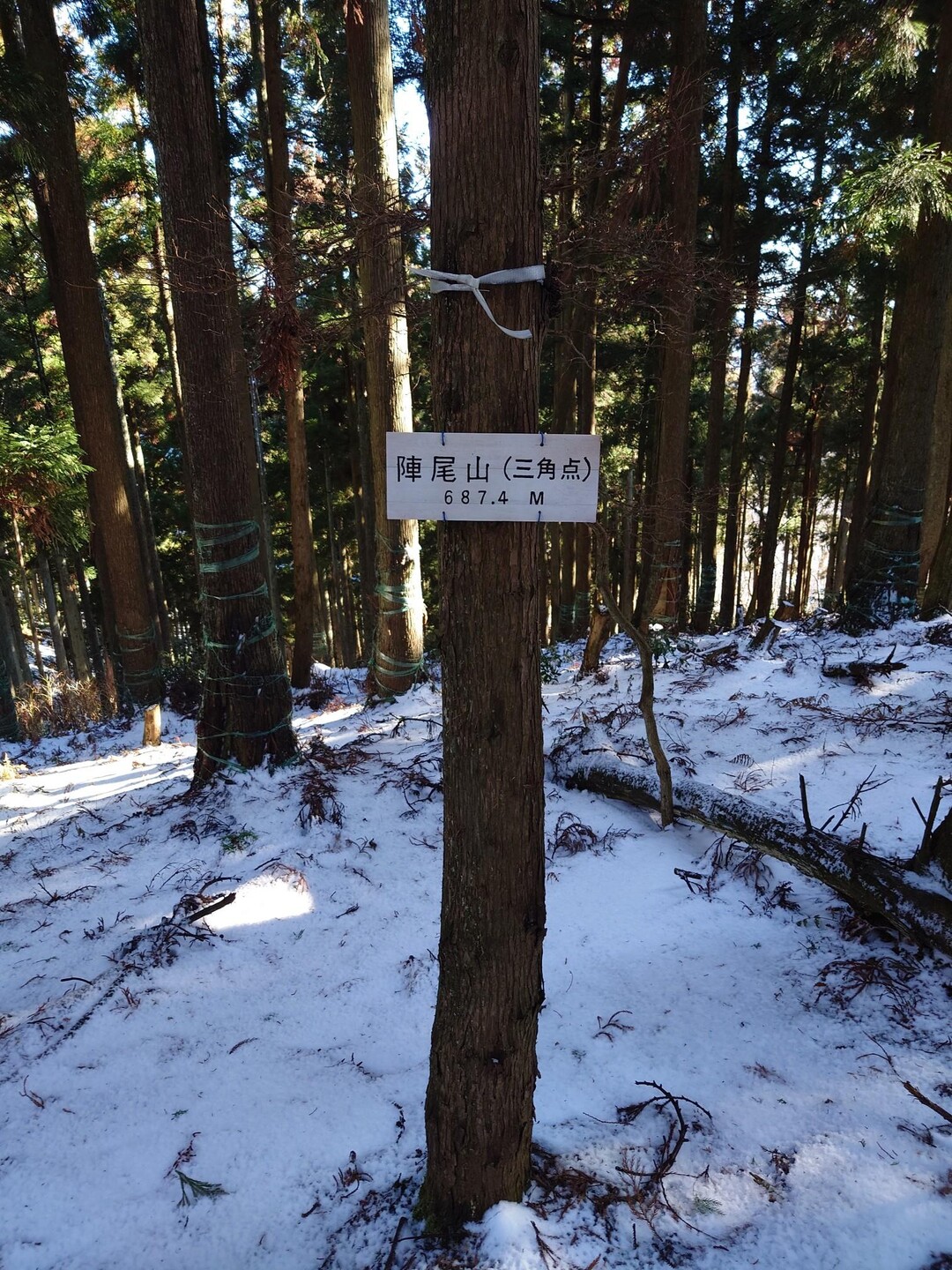 Pハンの日(4)杉坂山・ヒヨノ(陣尾山) / palさんの霊仙山の活動データ | YAMAP / ヤマップ