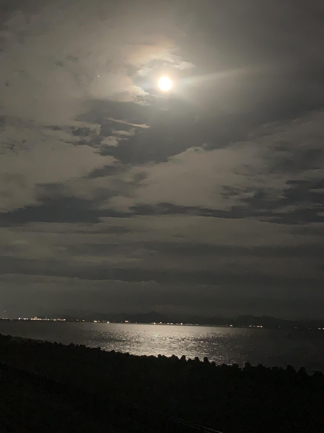 穏やかな駿河湾に映り込む月明かりが綺麗 ... / ta614さんのモーメント | YAMAP / ヤマップ
