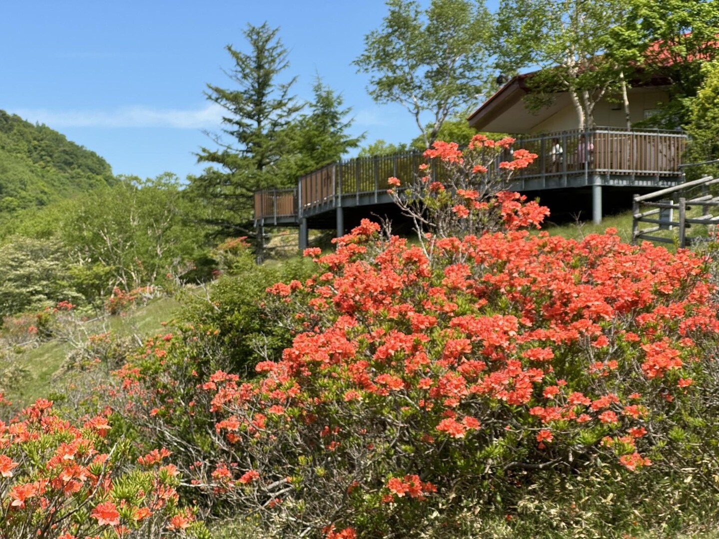 見晴山・地蔵岳 / さいかず2002さんの赤城山・黒檜山・荒山の活動データ | YAMAP / ヤマップ