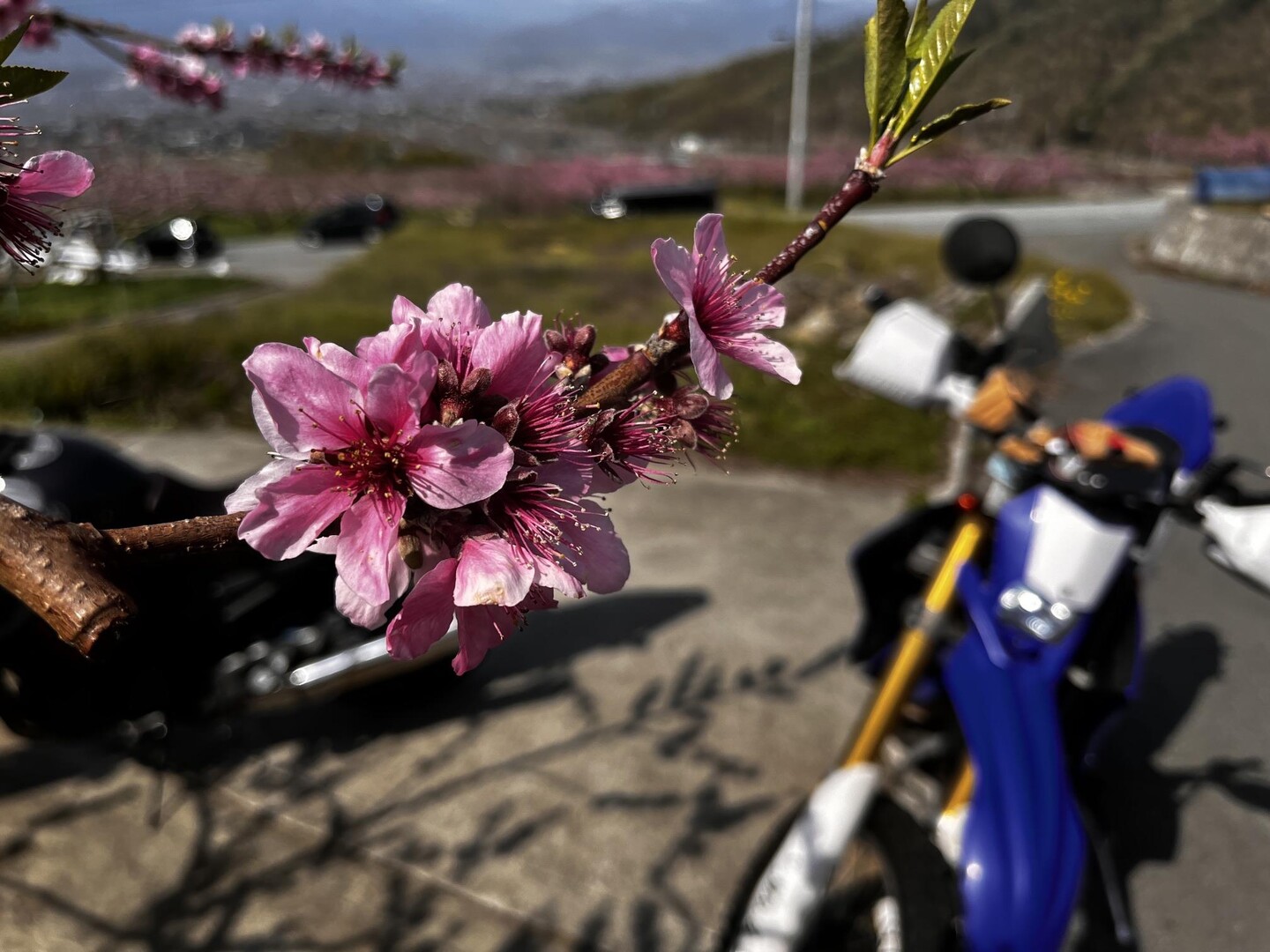 オートバイ ツーリング / kpk_cooさんのランニングの活動データ | YAMAP / ヤマップ