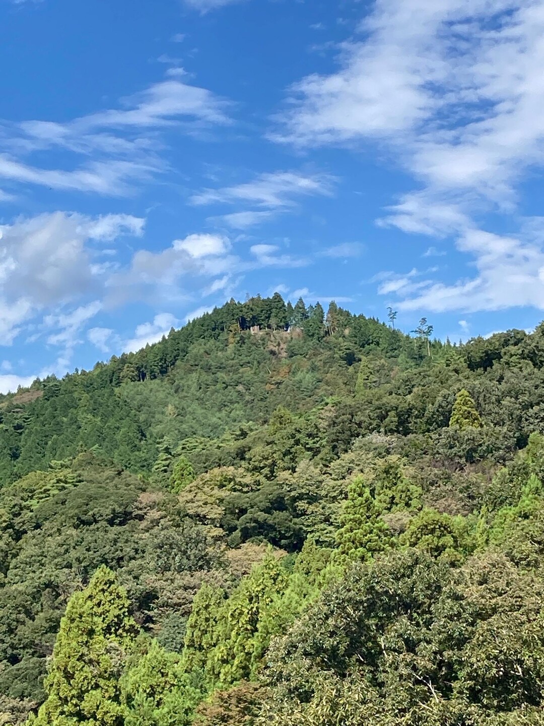 雨山山 / Tigerさんの本宮山・大日山・風頭山の活動データ | YAMAP / ヤマップ