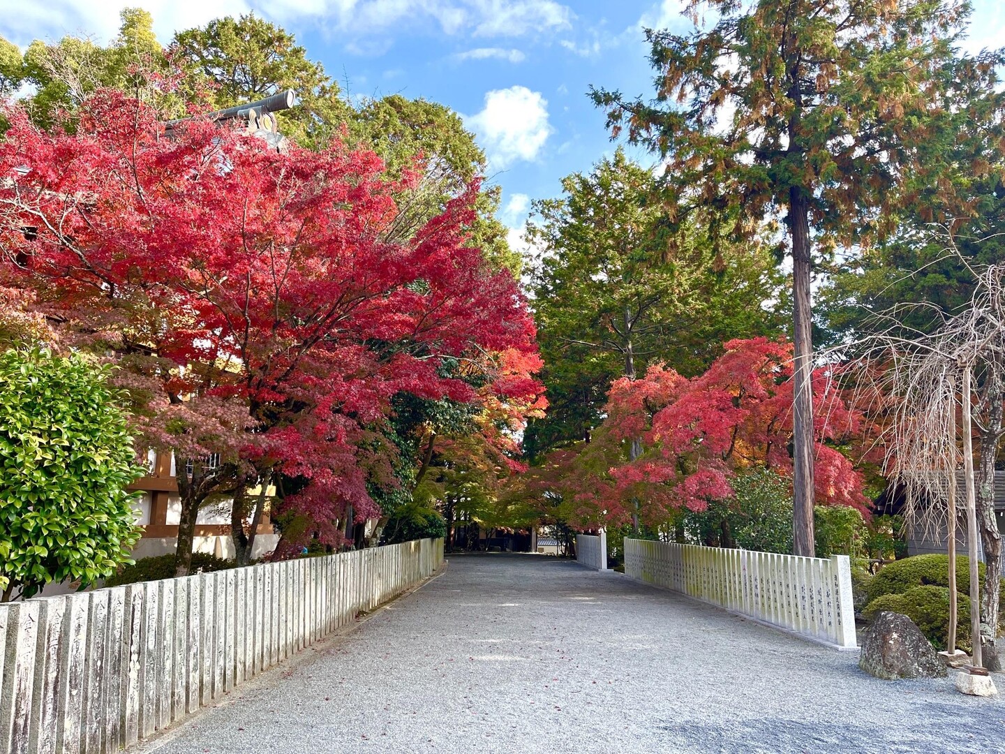 北摂トレイル⑮「多田エリア」 / Lucky Jr.さんの北摂里山トレイル（伊丹市・宝塚市・川西市・猪名川町エリア）の活動データ | YAMAP / ヤマップ