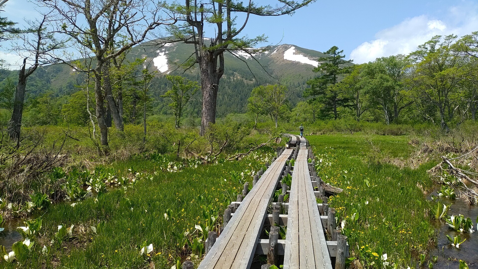 尾瀬・2日目-2022-06-19日 / 尾瀬・燧ヶ岳の写真23枚目 | YAMAP / ヤマップ