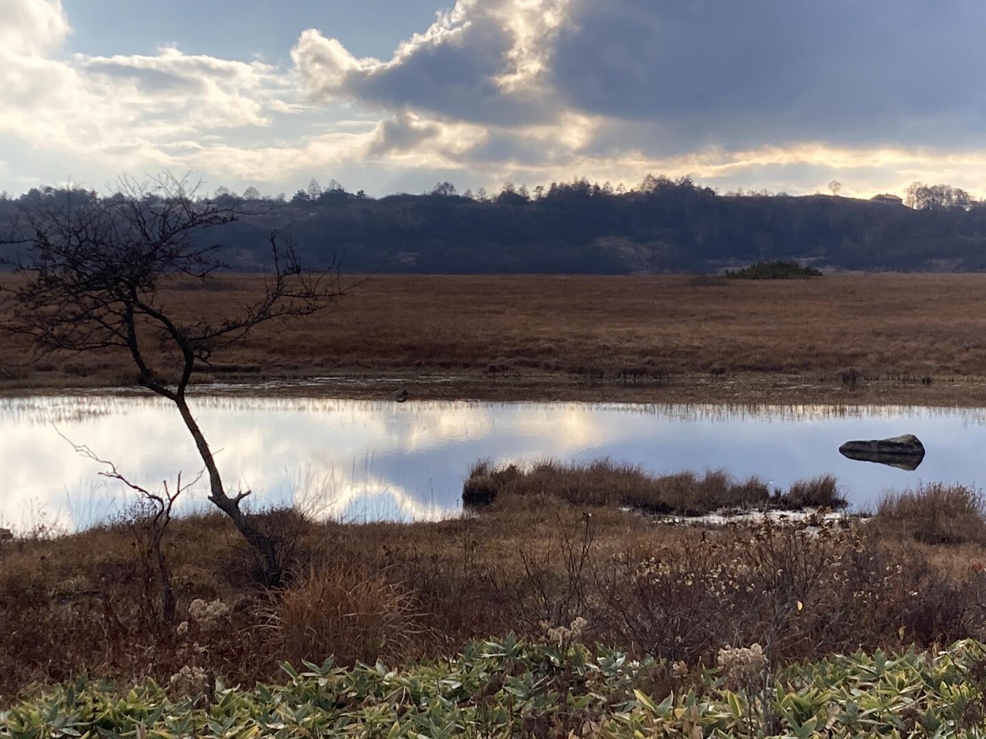 霧ヶ峰（車山） / marukoさんの霧ヶ峰・車山・大笹峰の活動データ | YAMAP / ヤマップ