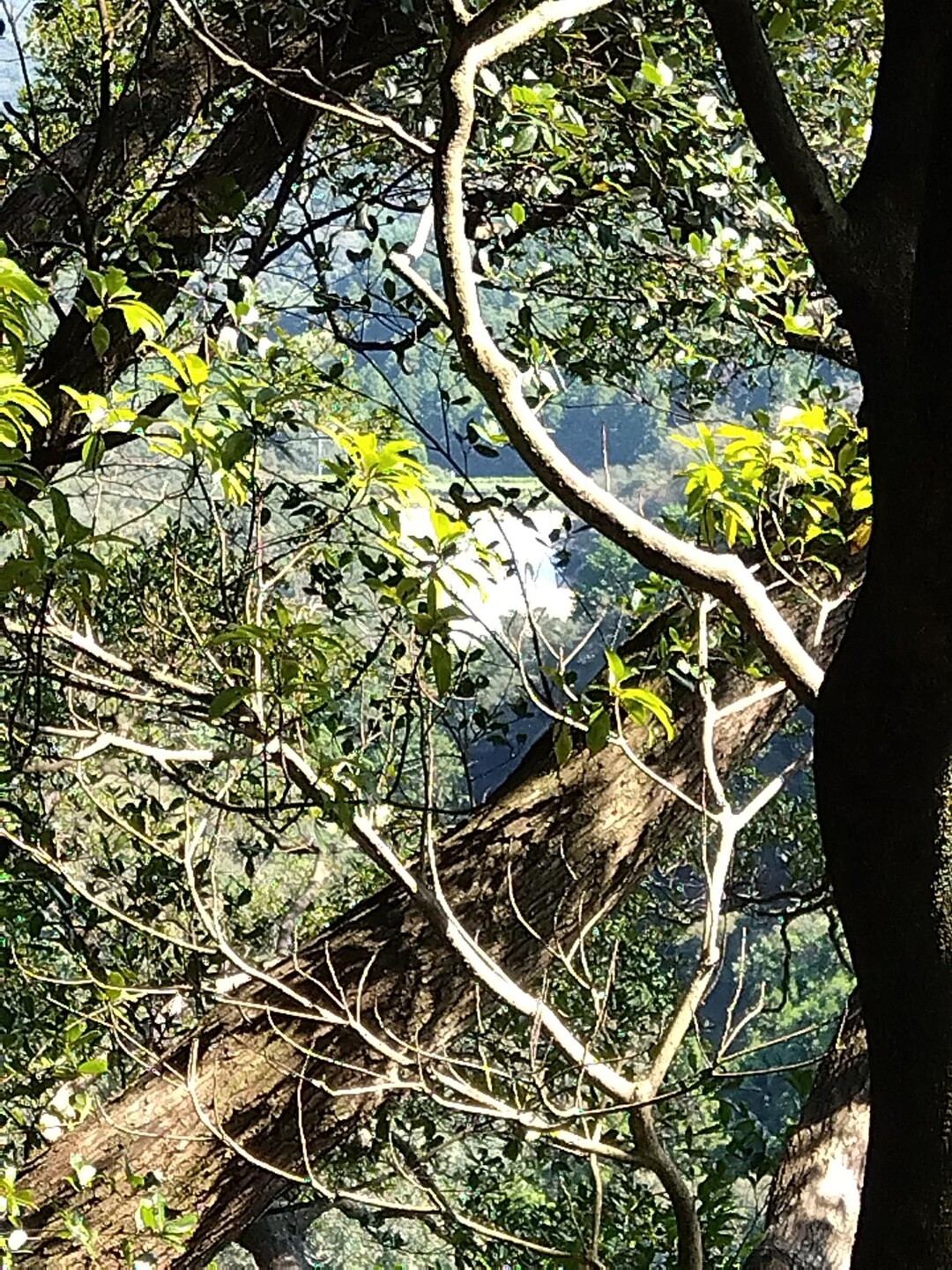 k54さんの投稿したフィールドメモ | YAMAP / ヤマップ