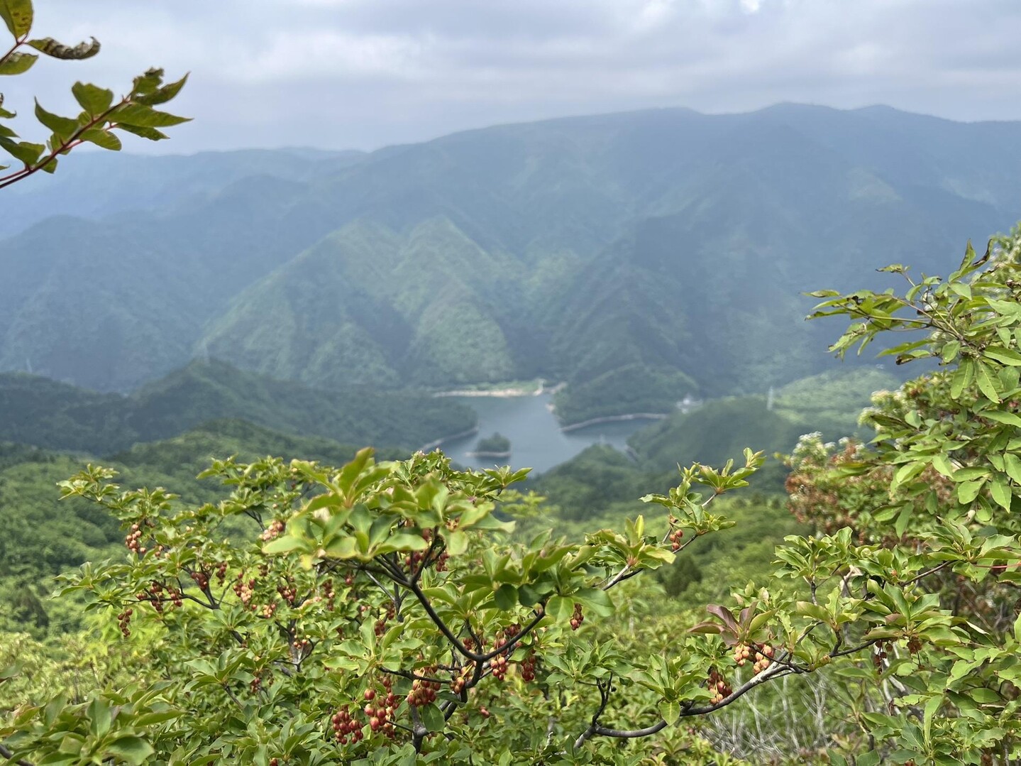 市間山・立岩山 / ぽんさんの市間山・立岩山の活動データ | YAMAP / ヤマップ