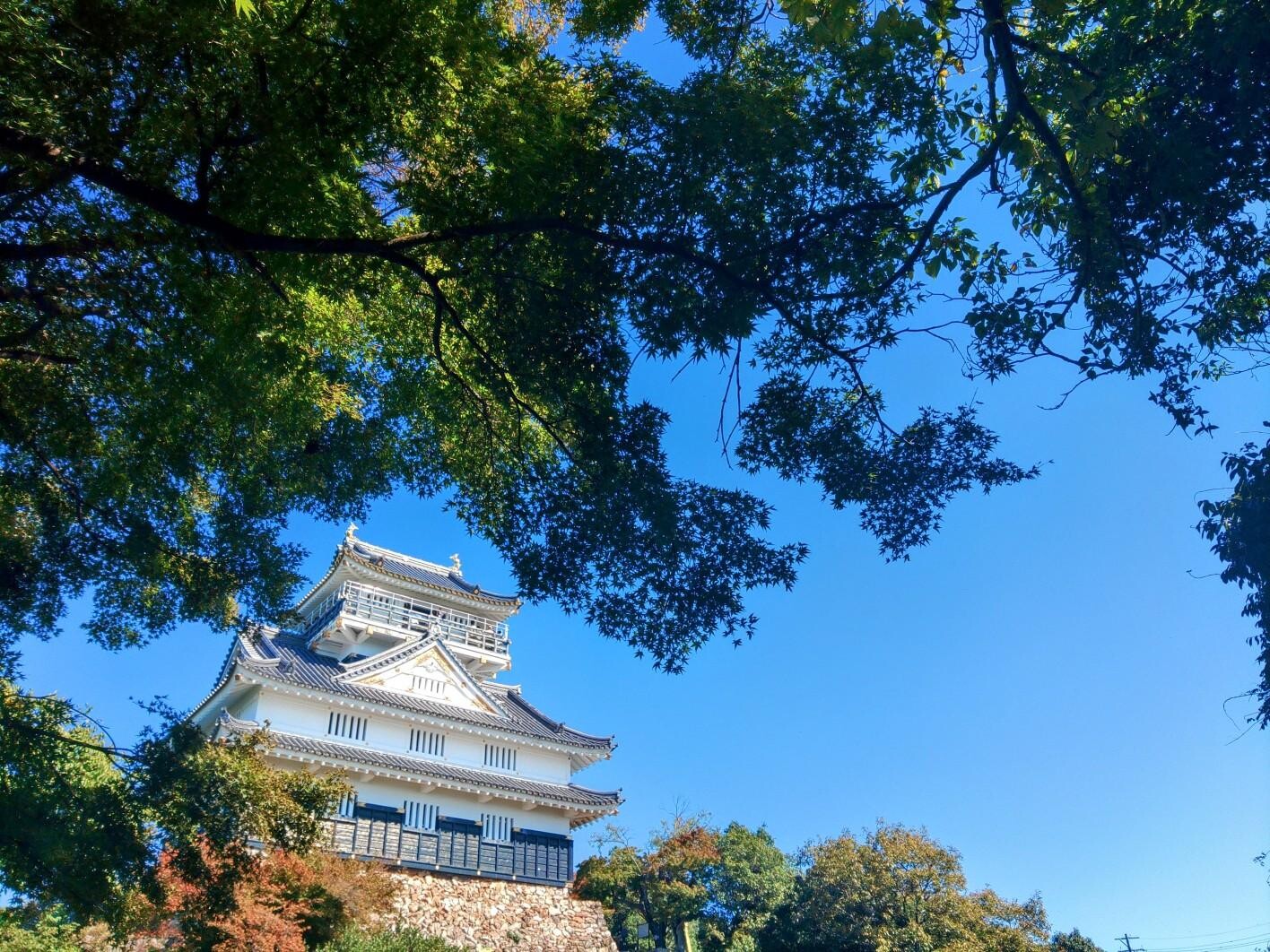 金華山 / nyaさんの岐阜市の活動データ | YAMAP / ヤマップ