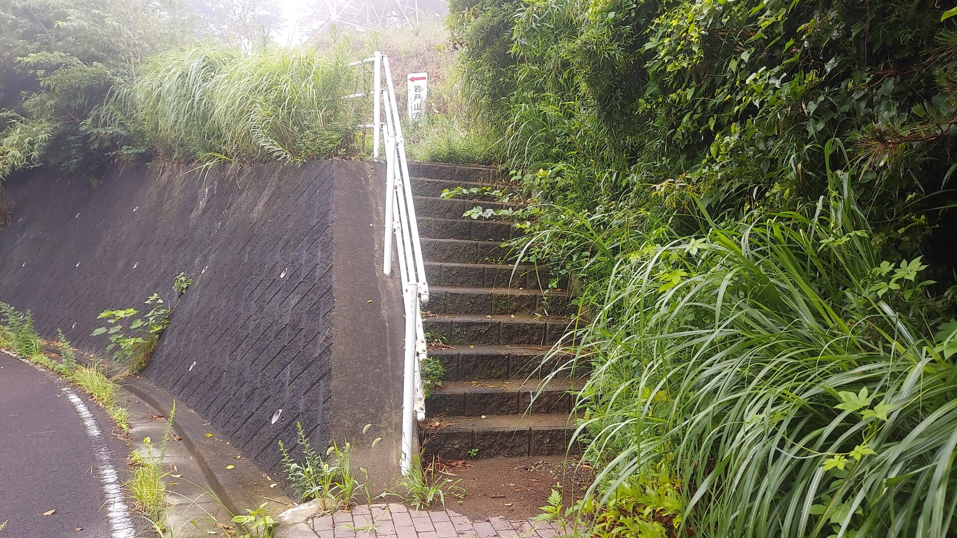 piropiroさんの投稿したフィールドメモ | YAMAP / ヤマップ