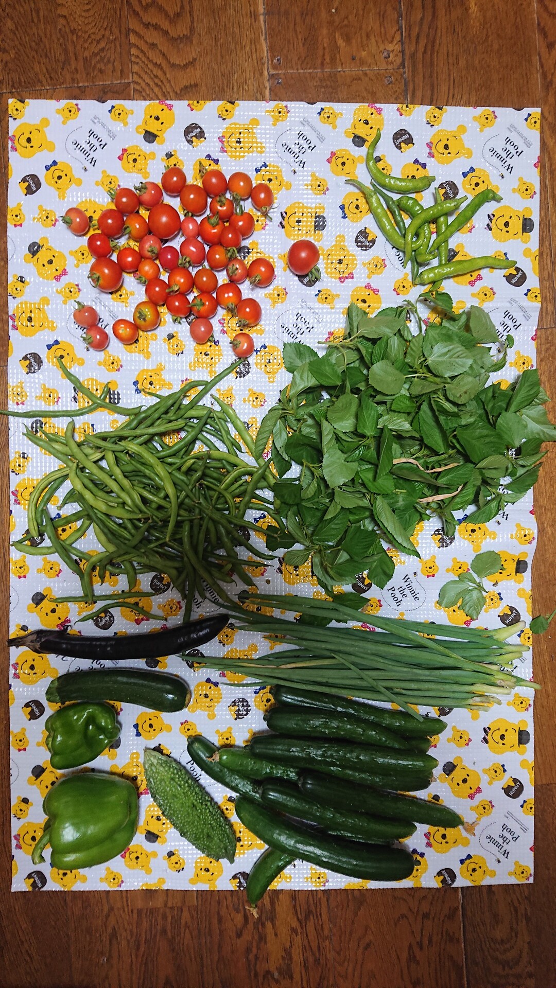 本日の収穫、キュウリ、ハネギ、モロヘイヤ... / ニャン002さんのモーメント | YAMAP / ヤマップ