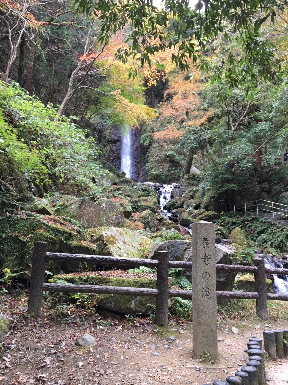 三方山・小倉山・養老山・北尾根P826峰 / ともちんさんの養老山・笙ヶ岳・三方山の活動データ | YAMAP / ヤマップ
