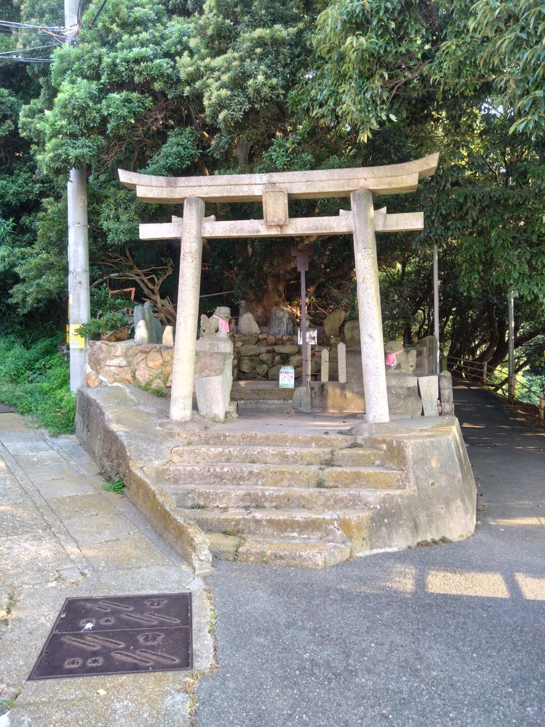 YUKAさんの投稿したフィールドメモ | YAMAP / ヤマップ