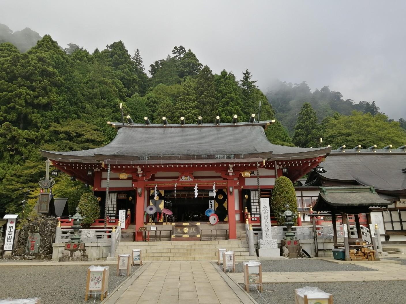 汗ダク登山😂大山 / ellena15さんの大山の活動データ | YAMAP / ヤマップ