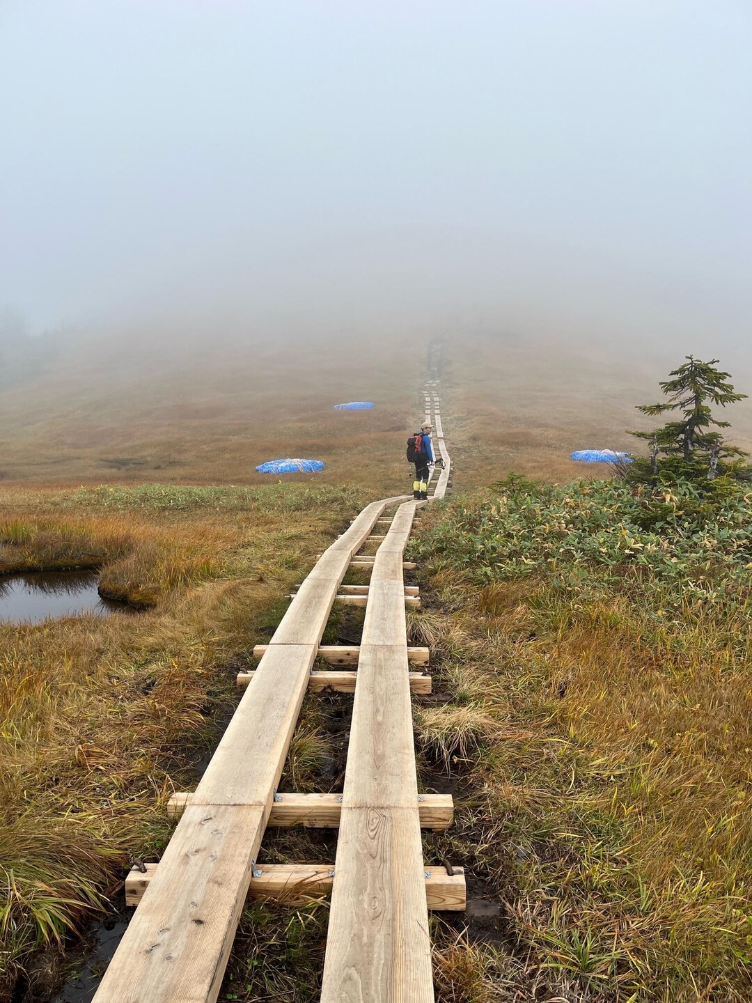 中門岳・会津駒ヶ岳 / takehiko.Kさんの会津駒ヶ岳の活動データ | YAMAP / ヤマップ