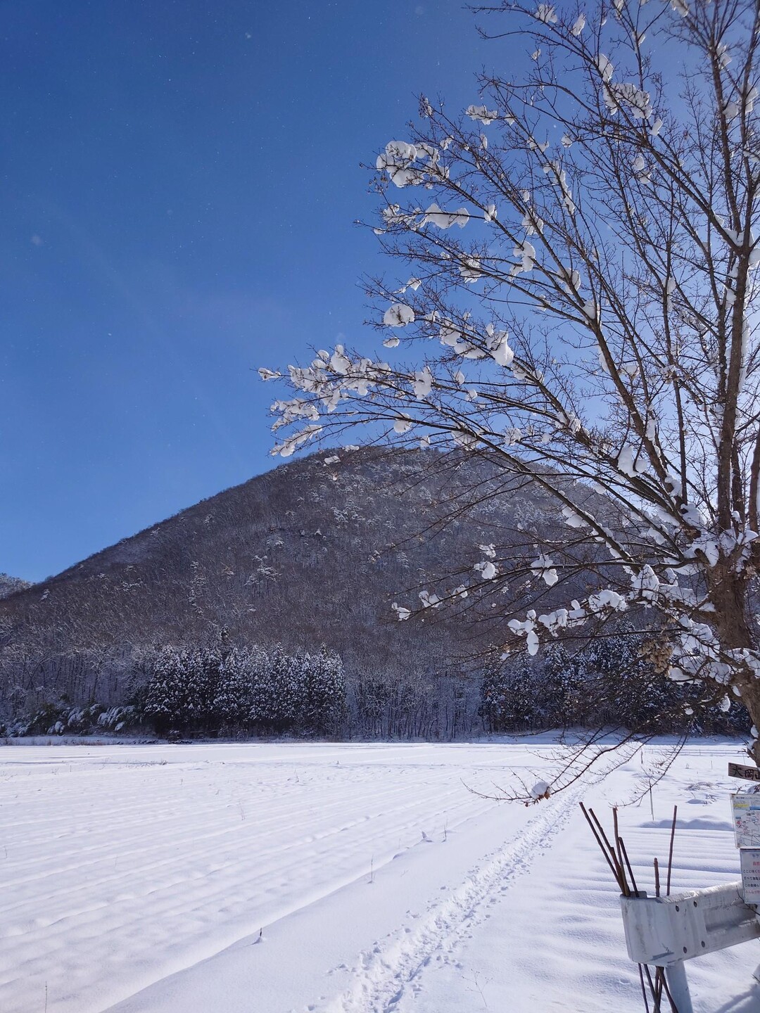 自宅から大岡山往復 / rukyさんの大岡山・小菰石山の活動データ | YAMAP / ヤマップ