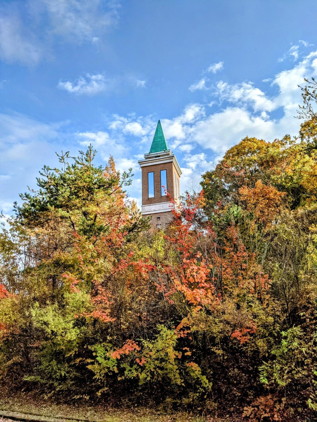 寺岡山の全山紅葉 / yugohさんのモーメント | YAMAP / ヤマップ