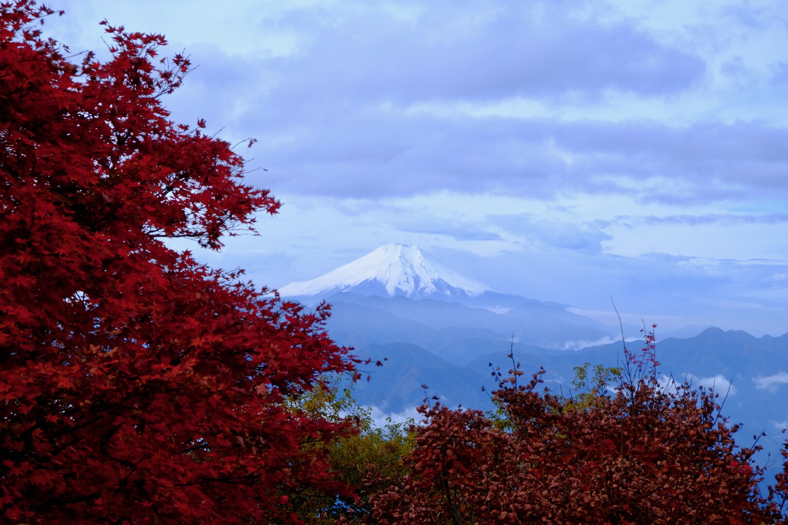秋の陣馬・高尾縦走（巻かずの巻） / publiusさんの高尾山・陣馬山・景信山の活動データ | YAMAP / ヤマップ