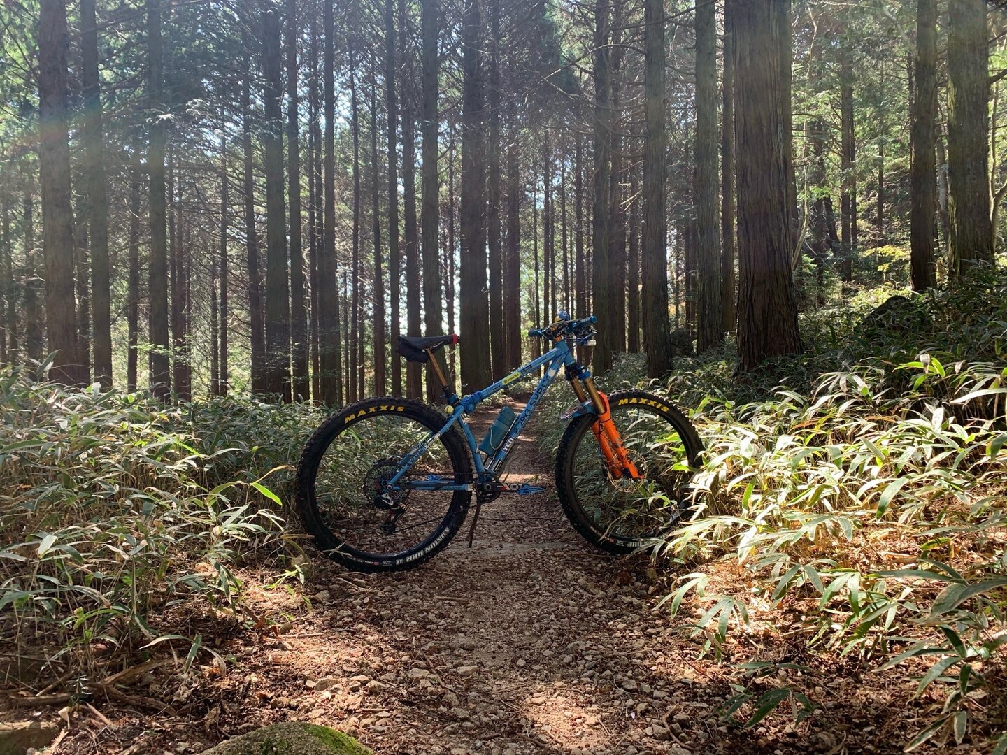 MTB de 摩耶山 / pirosikiさんの六甲山・長峰山・摩耶山の活動データ | YAMAP / ヤマップ