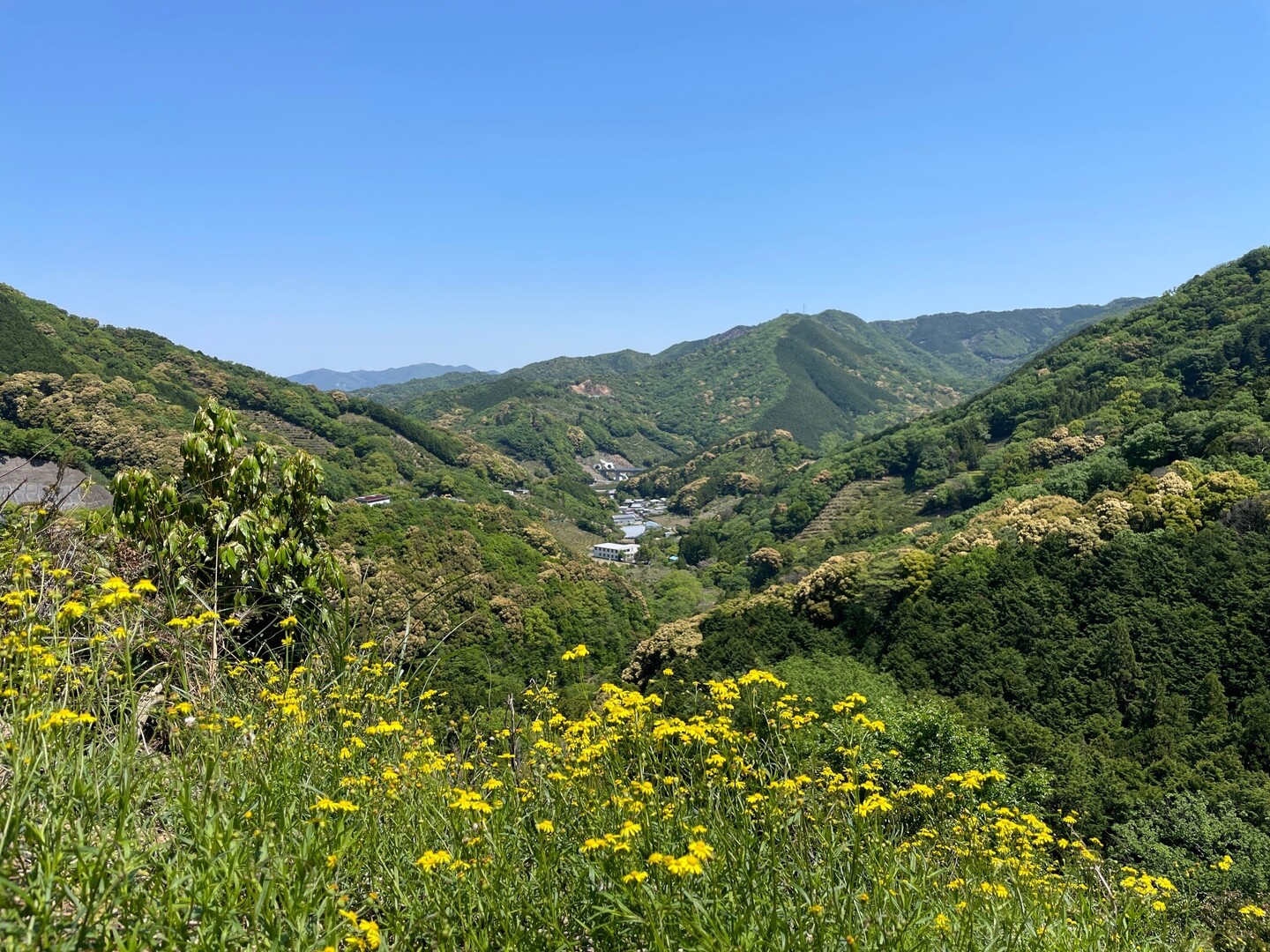 熊野古道紀伊路④湯浅〜御坊 2022-05-03 / magukoさんの熊野古道 紀伊路②（湯浅駅～切目駅）の活動データ | YAMAP / ヤマップ