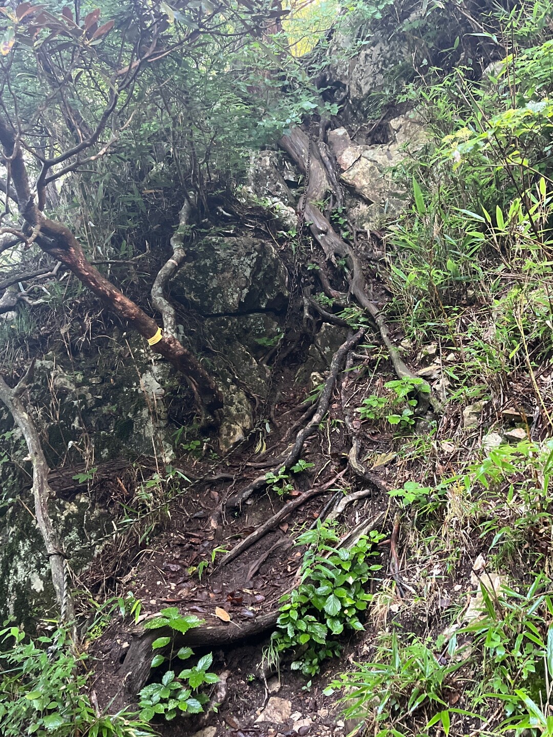 sinnさんの投稿したフィールドメモ | YAMAP / ヤマップ