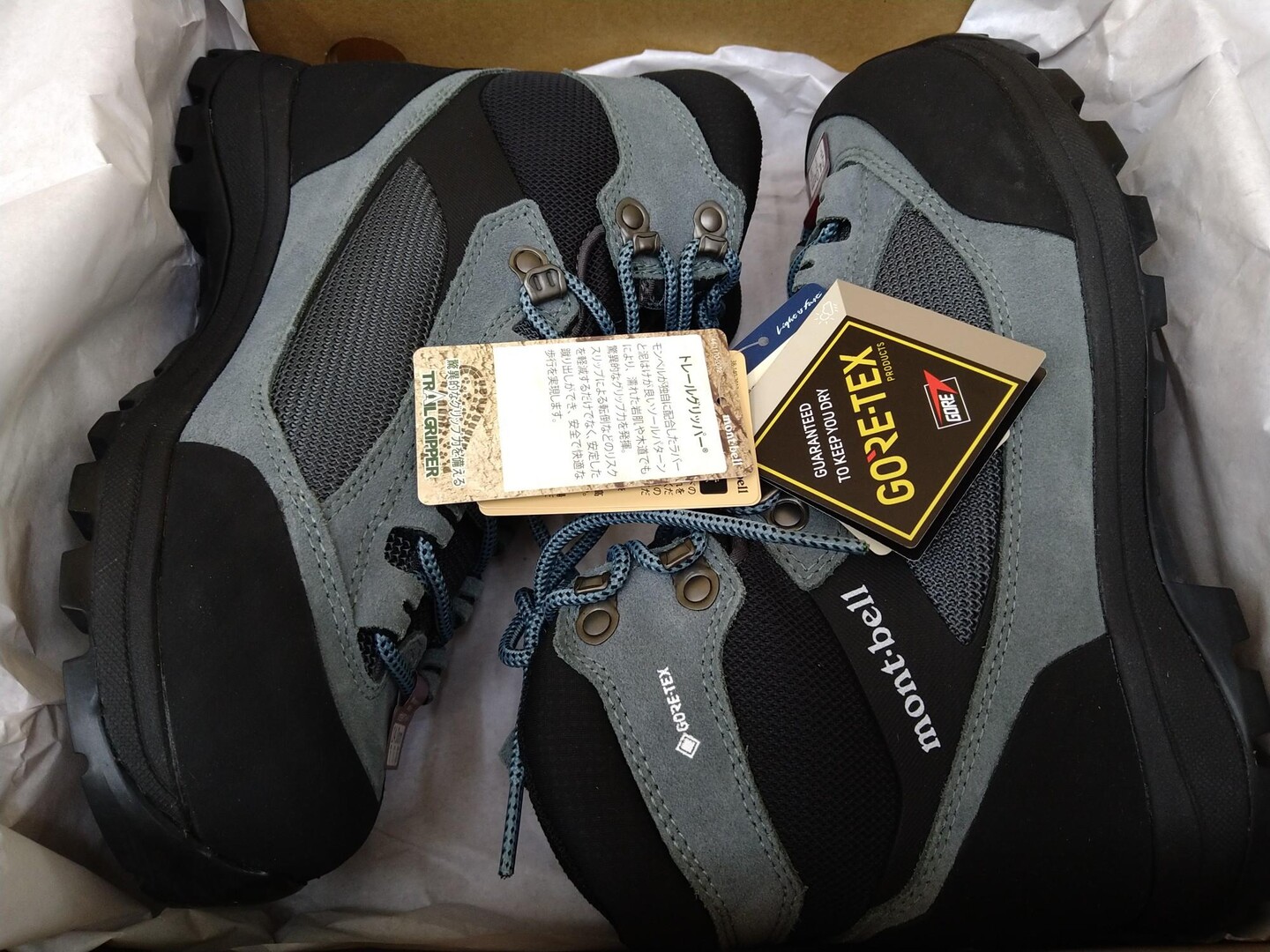 来たぁーーー(≧∇≦)b やっと、mon... / ぴょん子さんのモーメント | YAMAP / ヤマップ