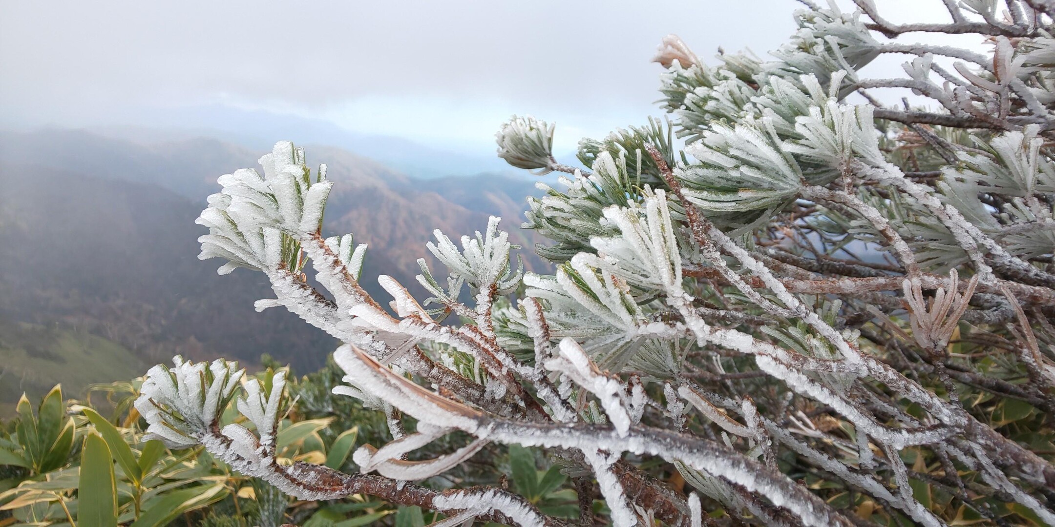 白砂山と野反湖キャンプ / kodaさんの白砂山・堂岩山・八間山の活動データ | YAMAP / ヤマップ
